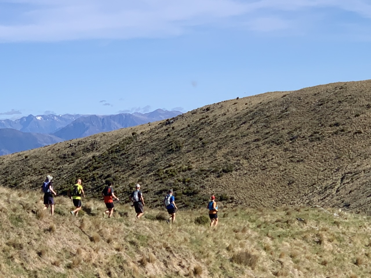 Mt Grey, Canterbury - Trails Photo Gallery - Wild Things