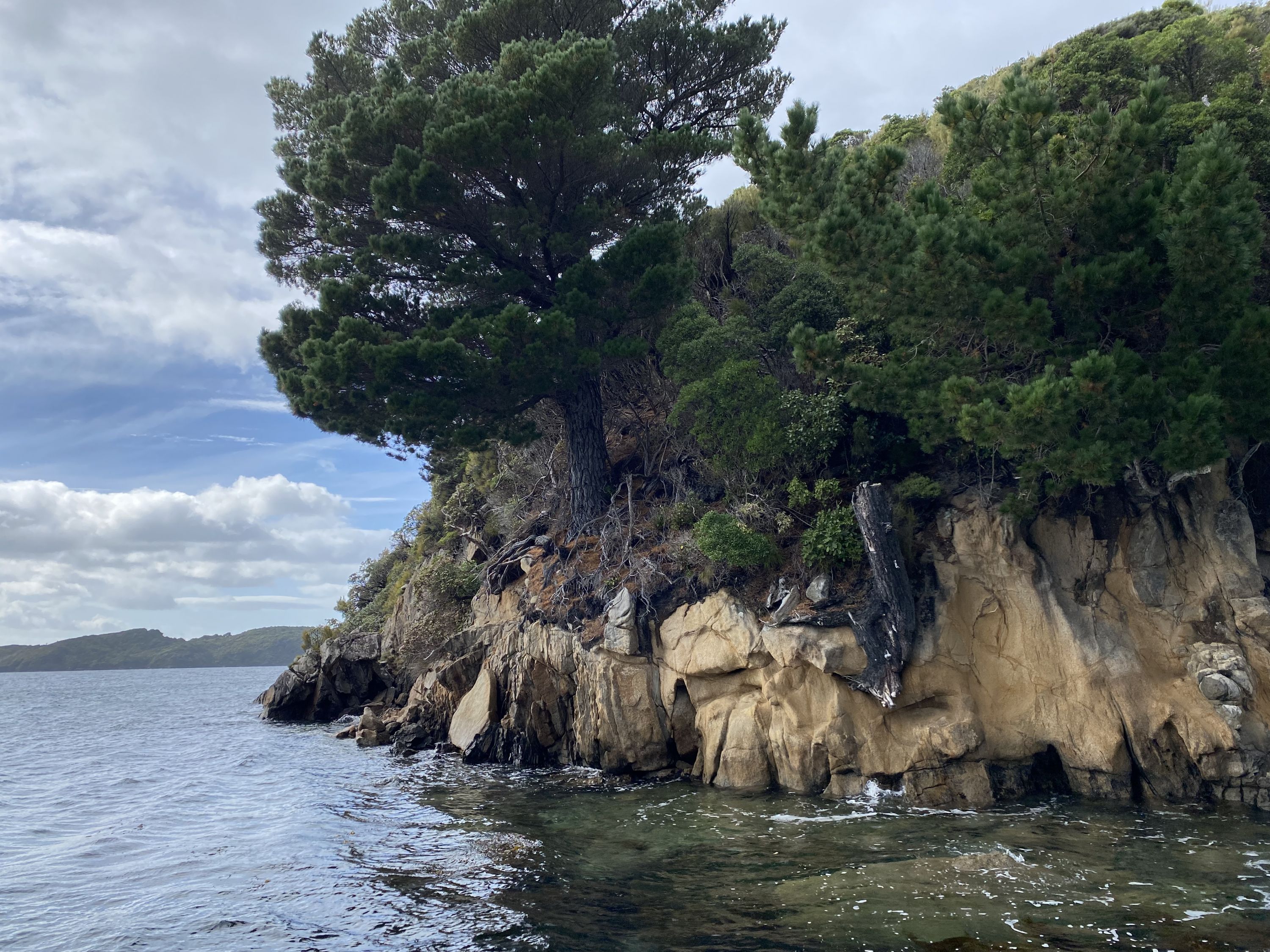 Bragging About Horseshoe Point, Southland - Trails Photo Gallery - Wild ...