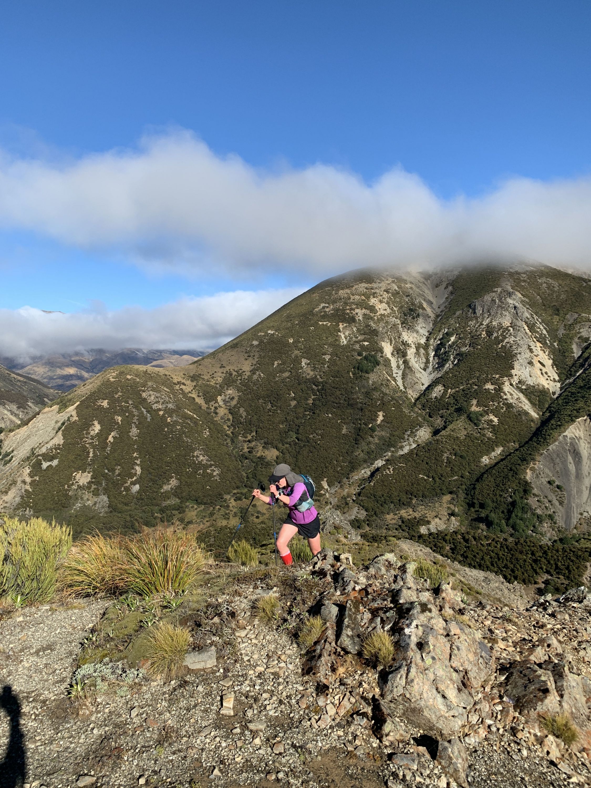 Torlesse Traverse , Canterbury - Trails Photo Gallery - Wild Things