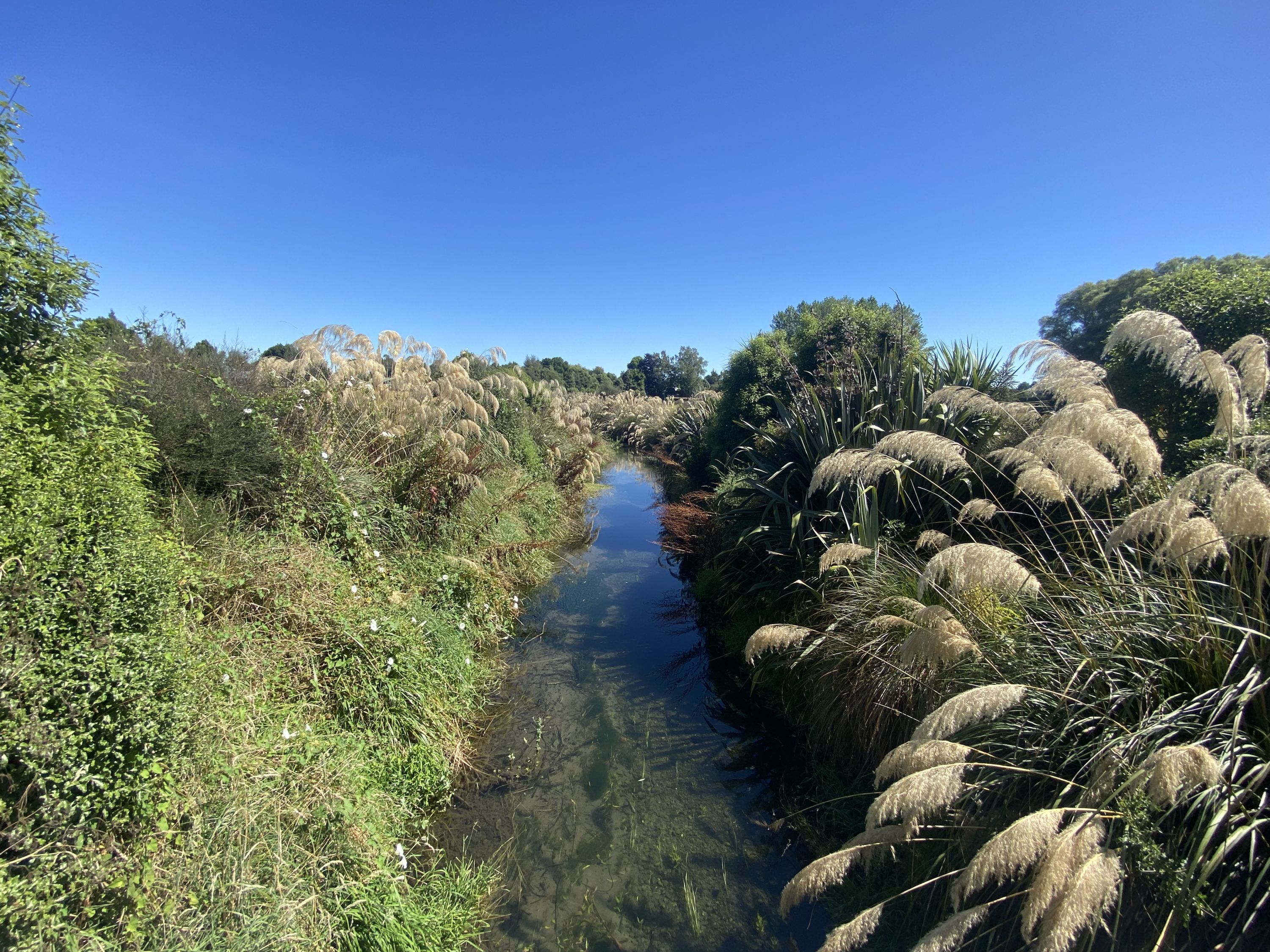 Flat out in Temuka - River Loop, Canterbury - Trails Photo Gallery ...