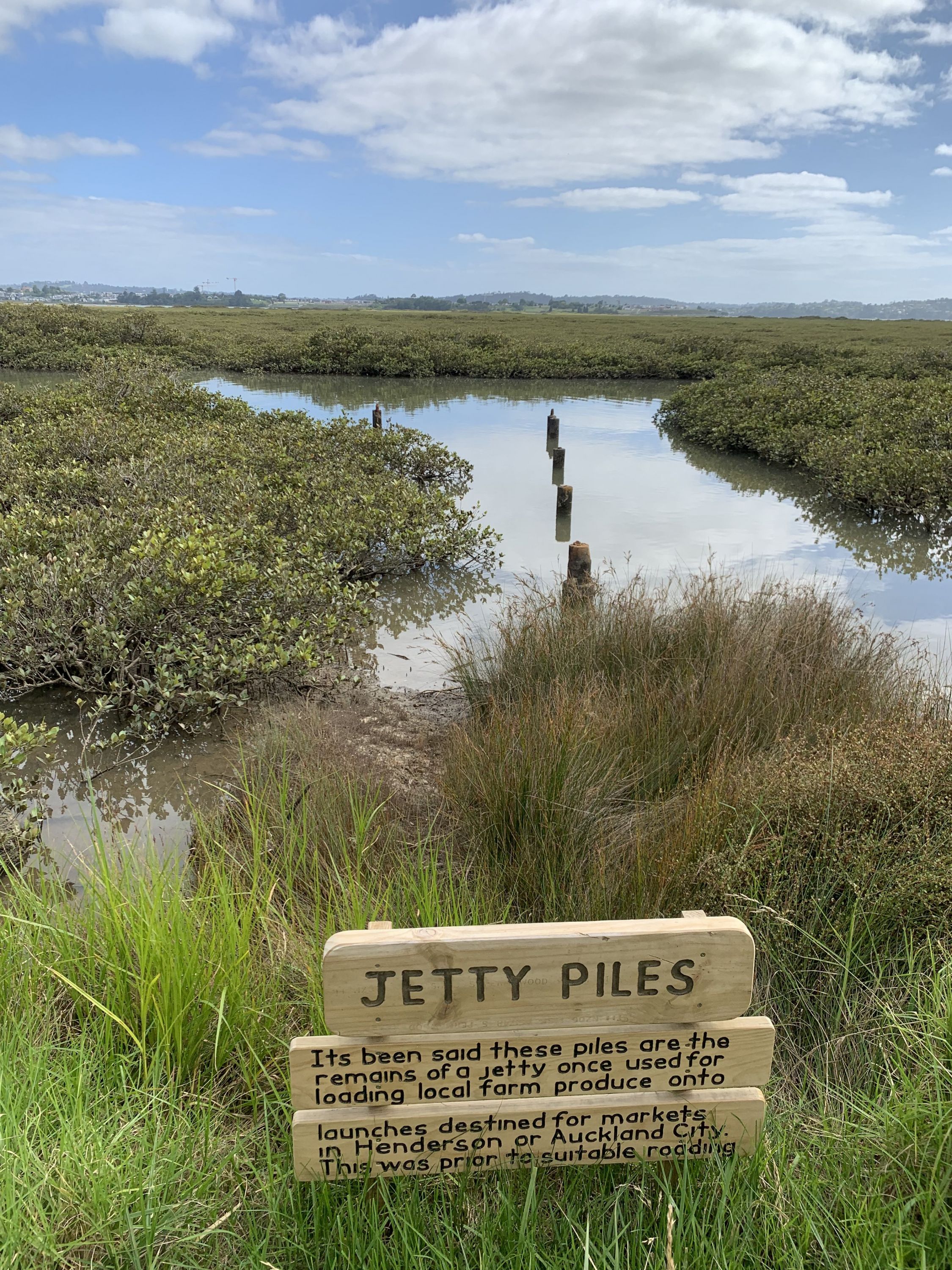 Around the Outside at Te Atatu, Auckland - Trails Photo Gallery - Wild ...