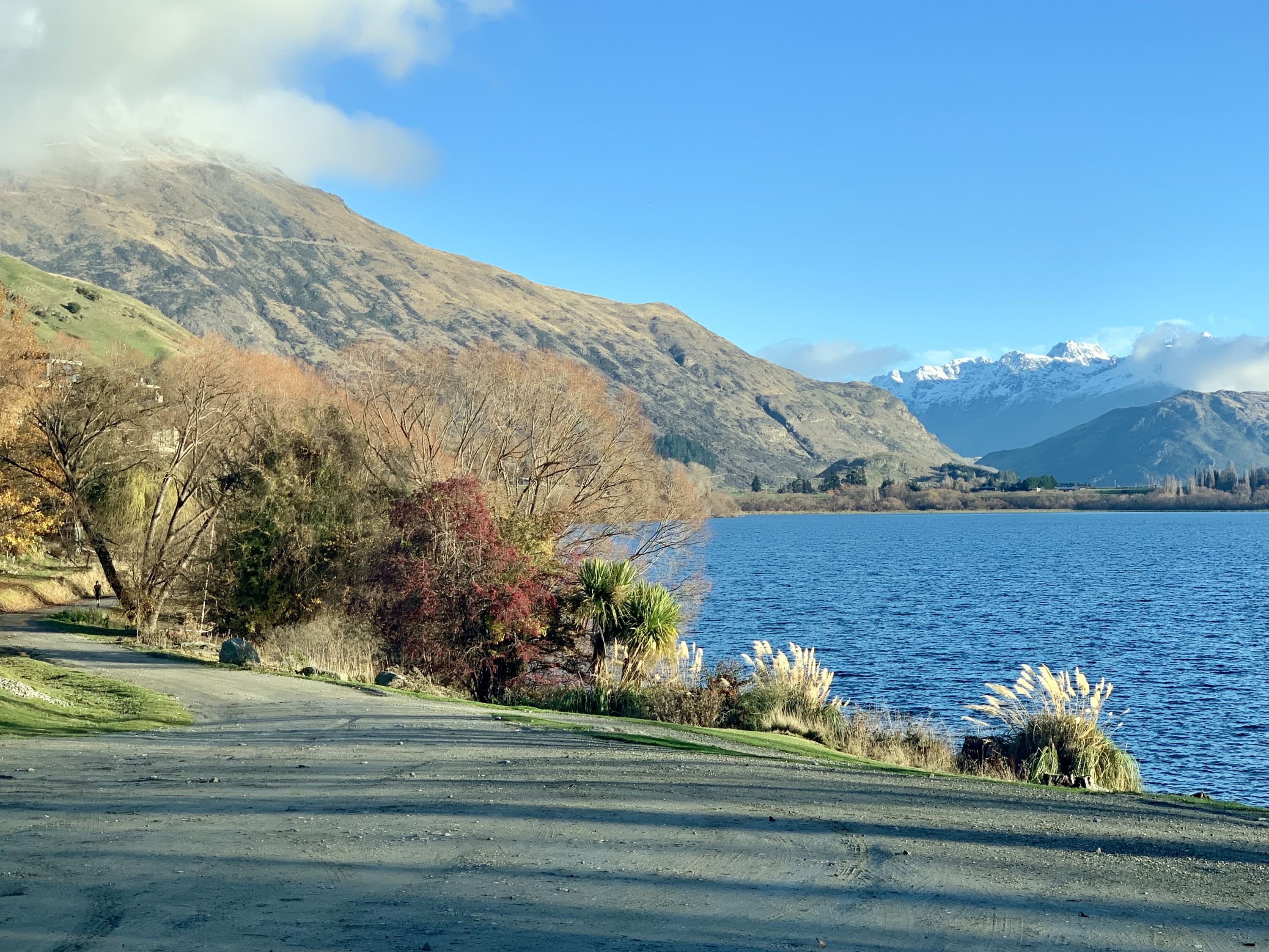 Lake Hayes Circuit, Otago - Trails Photo Gallery - Wild Things