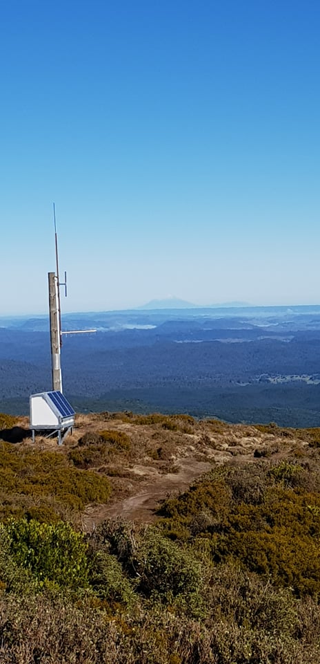 Pureora Double, Manawatu - Wanganui - Trails Photo Gallery - Wild Things
