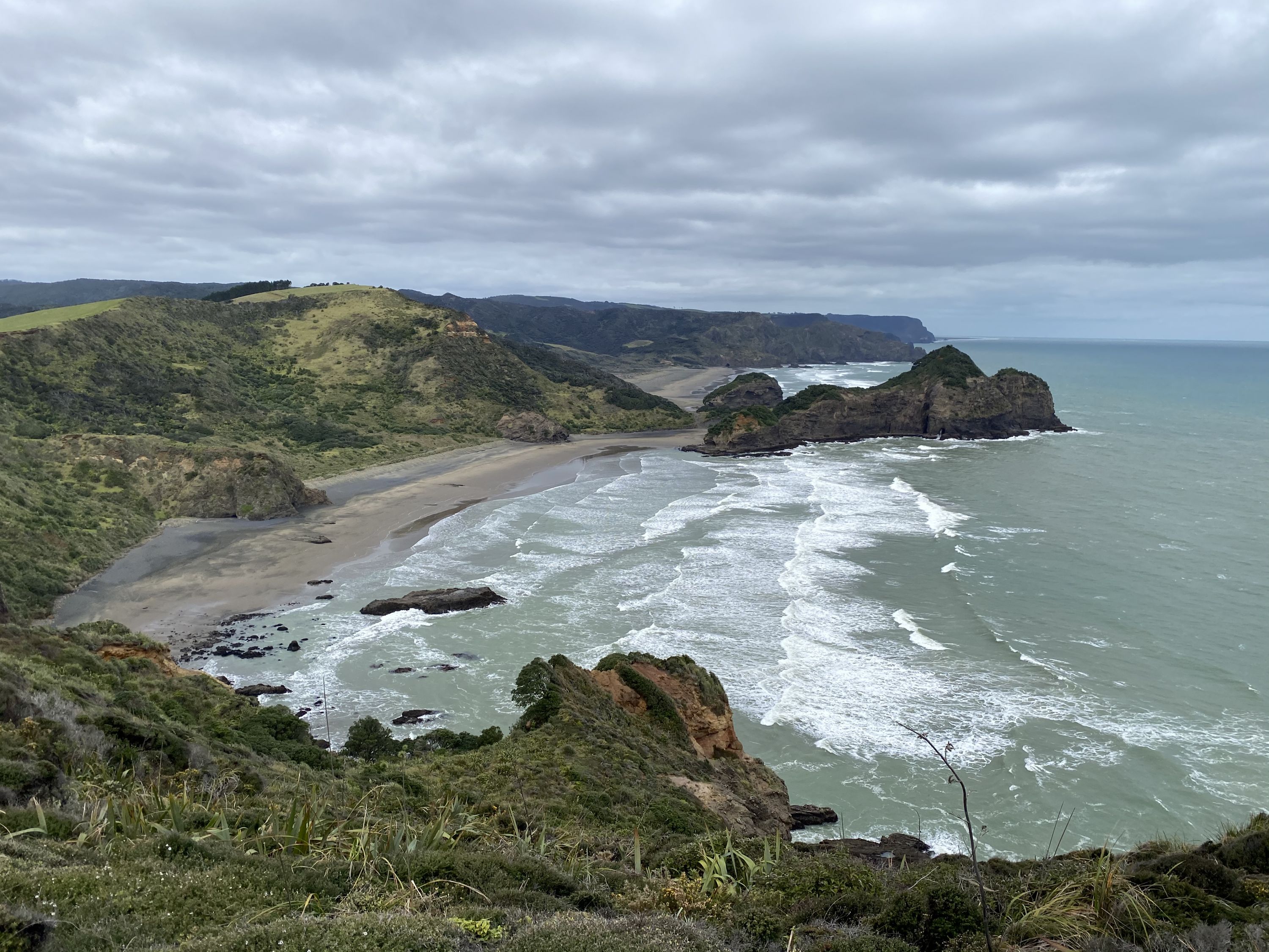 Te Henga Trail, Auckland - Trails Photo Gallery - Wild Things