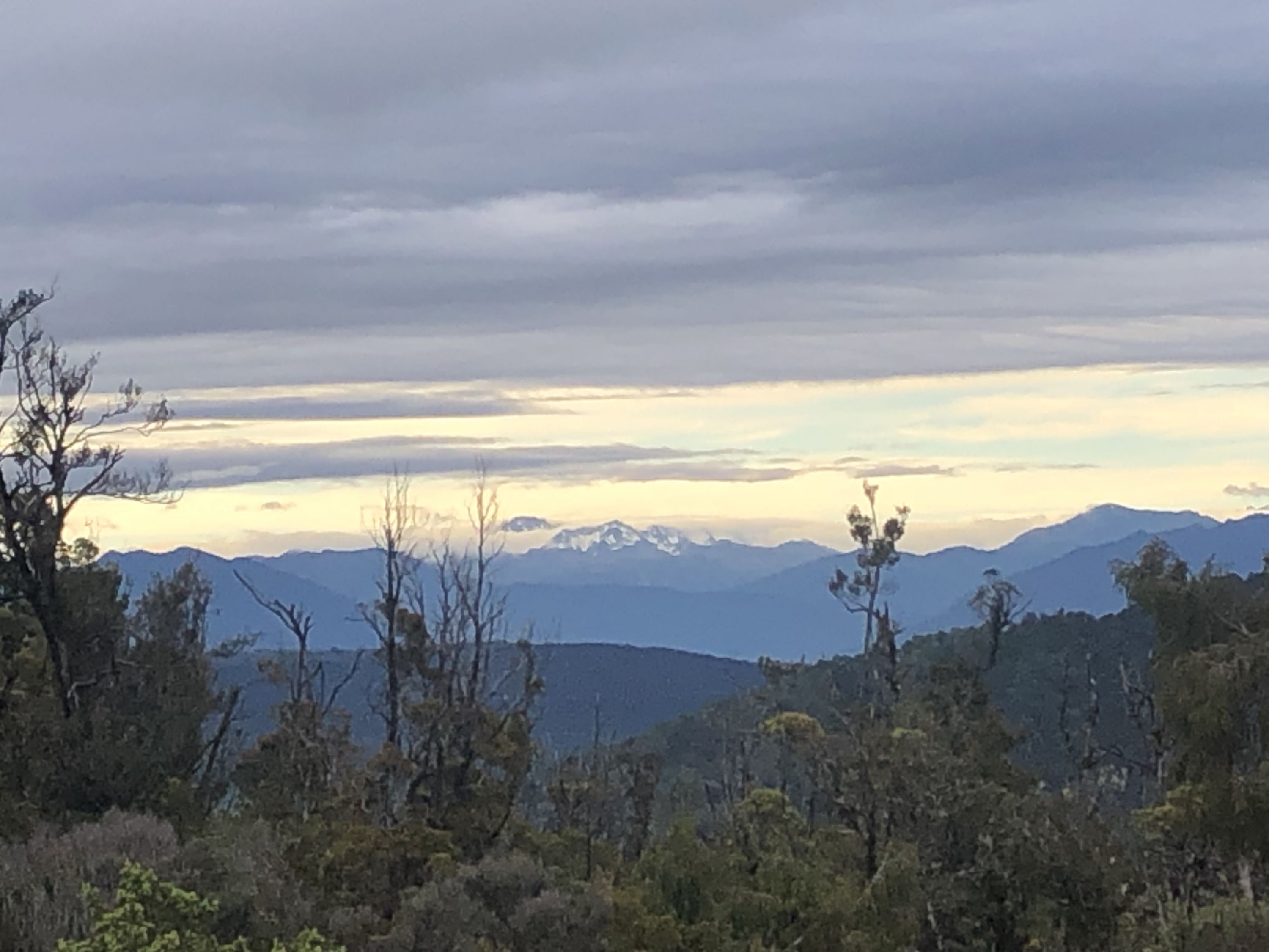 Mt Watson Croesus Loop, West Coast - Trails Photo Gallery - Wild Things