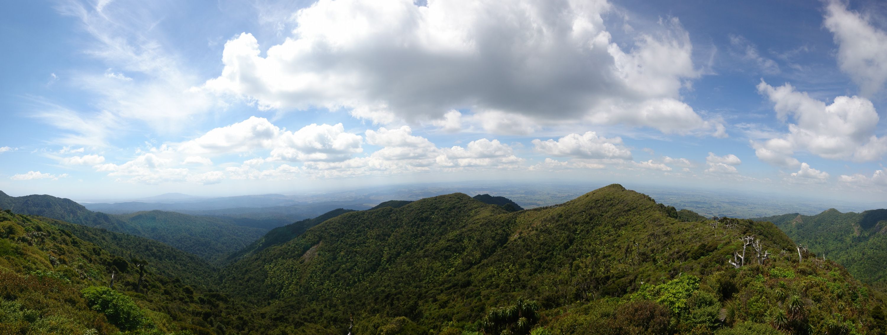 Pirongia Loop of Awesomeness, Waikato - Trails Photo Gallery - Wild Things