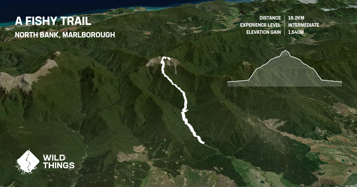 A Fishy Trail, Marlborough, New Zealand - Trail Running Directory ...