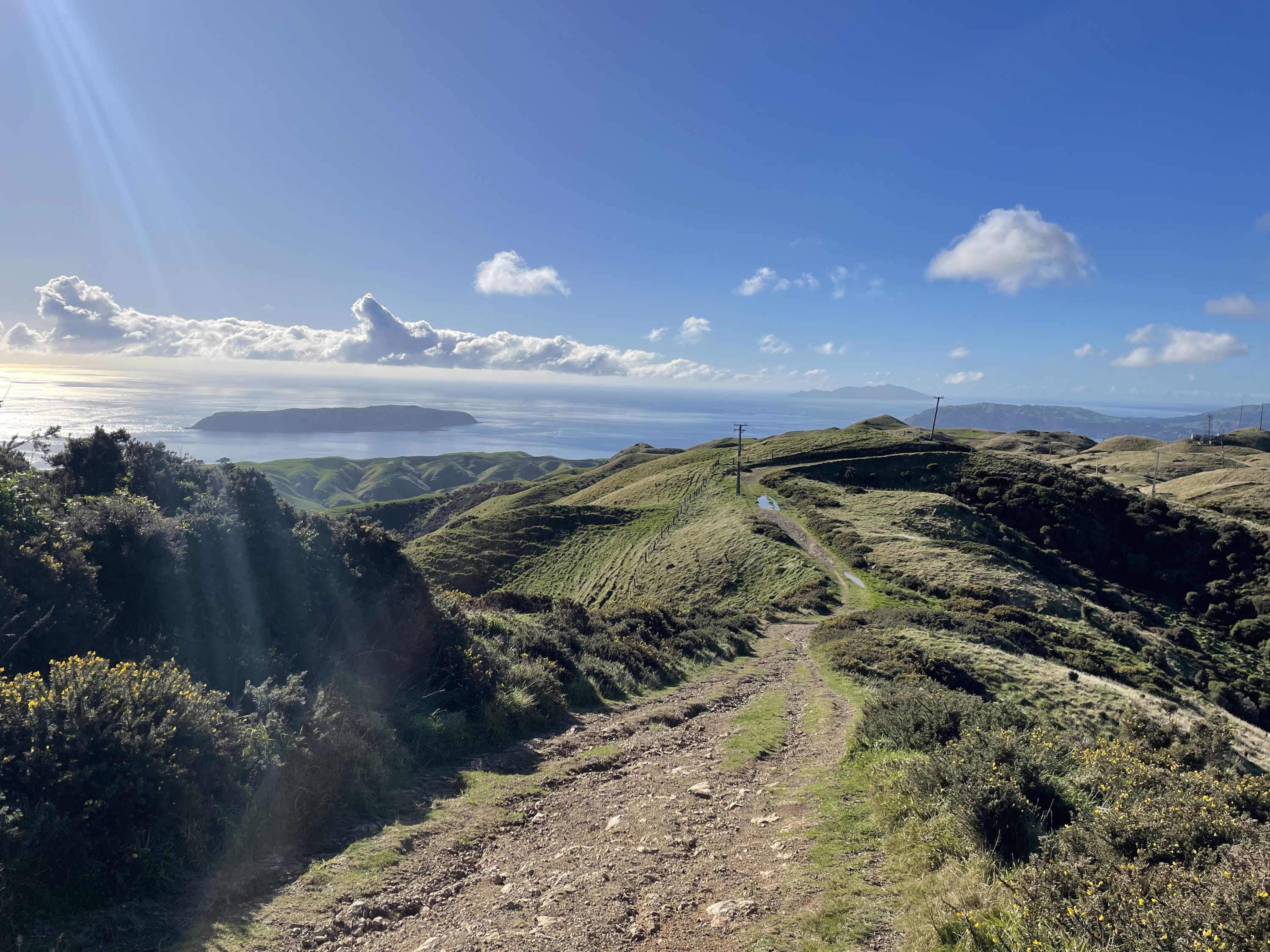 Colonial Knob - All the Hills, Wellington - Trails Photo Gallery - Wild ...