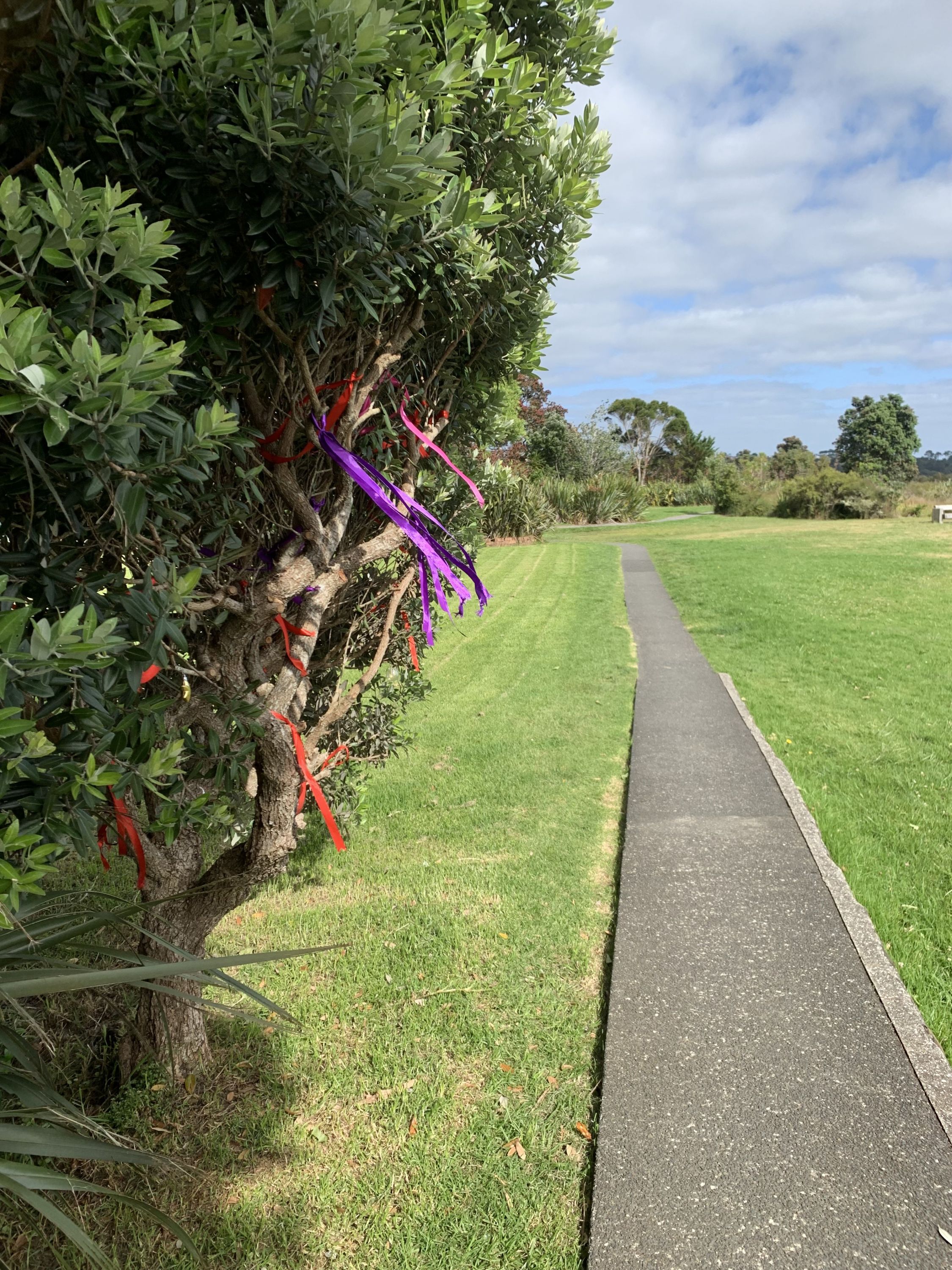 Around the Outside at Te Atatu, Auckland - Trails Photo Gallery - Wild ...