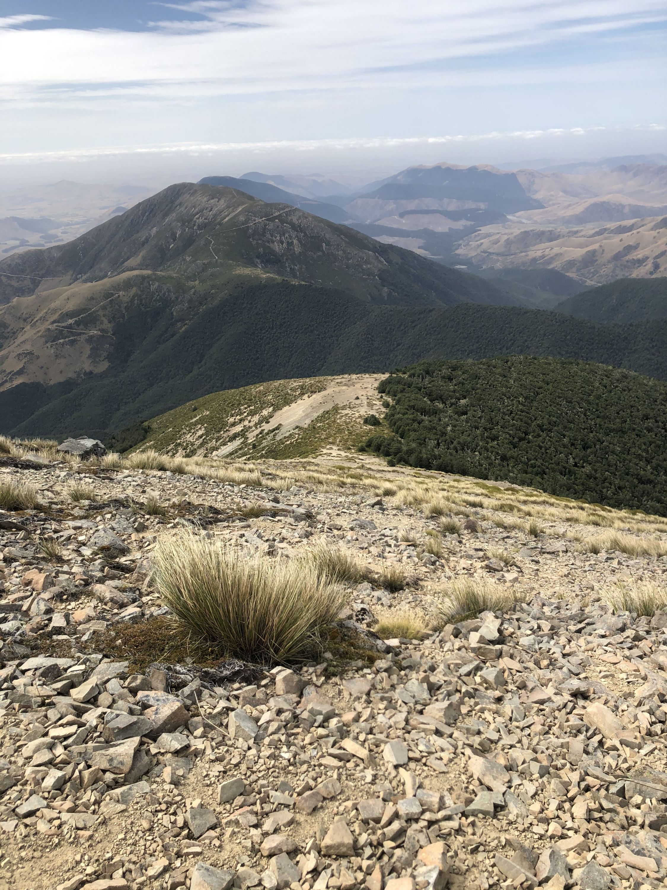 Benmore Hut to the bushline, Canterbury - Trails Photo Gallery - Wild ...