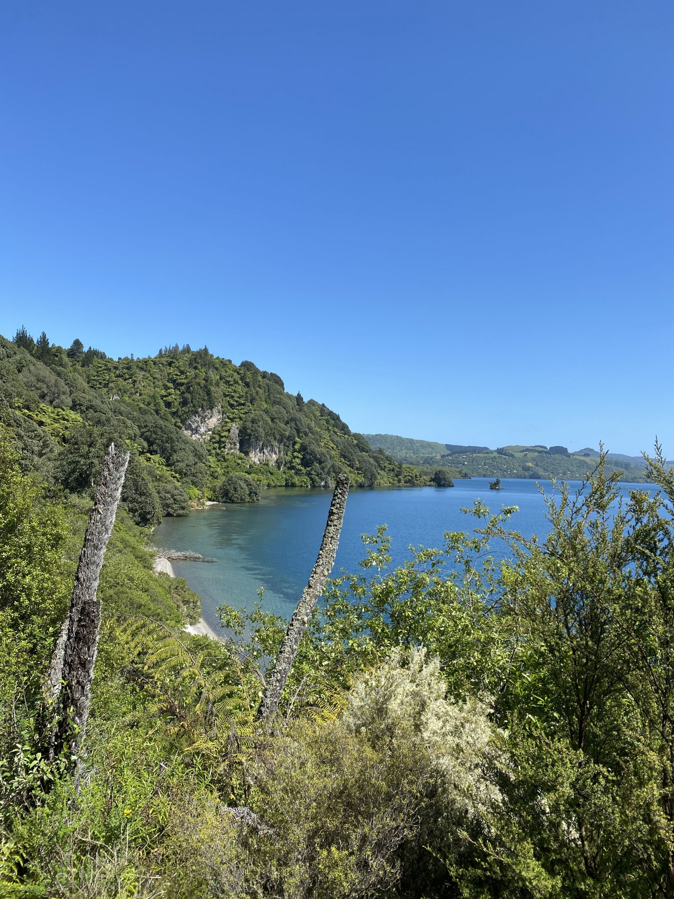 Tarawera Trail Route Recce, Bay of Plenty - Trails Photo Gallery - Wild ...