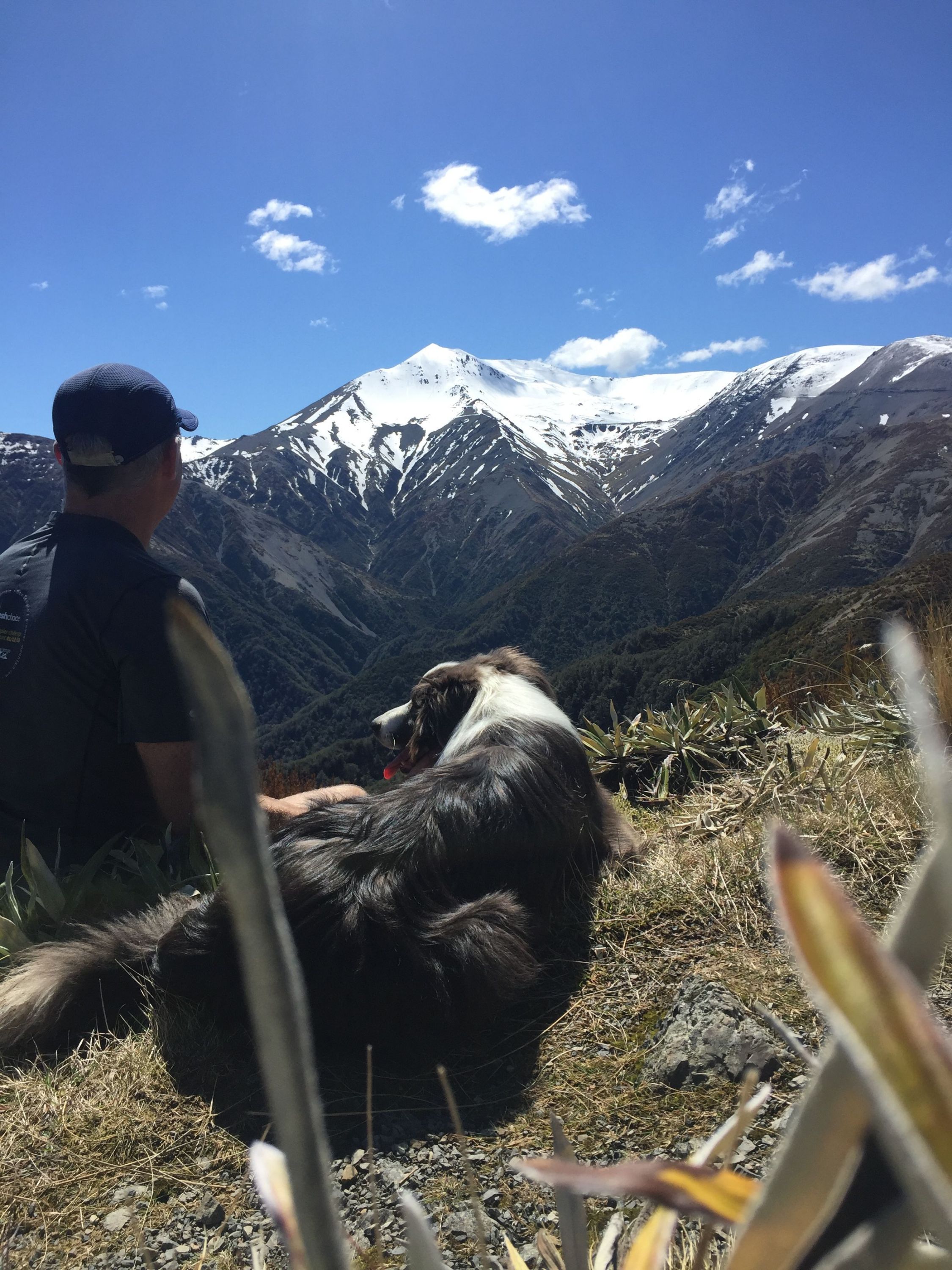 Aamped and Clomped, Canterbury - Trails Photo Gallery - Wild Things