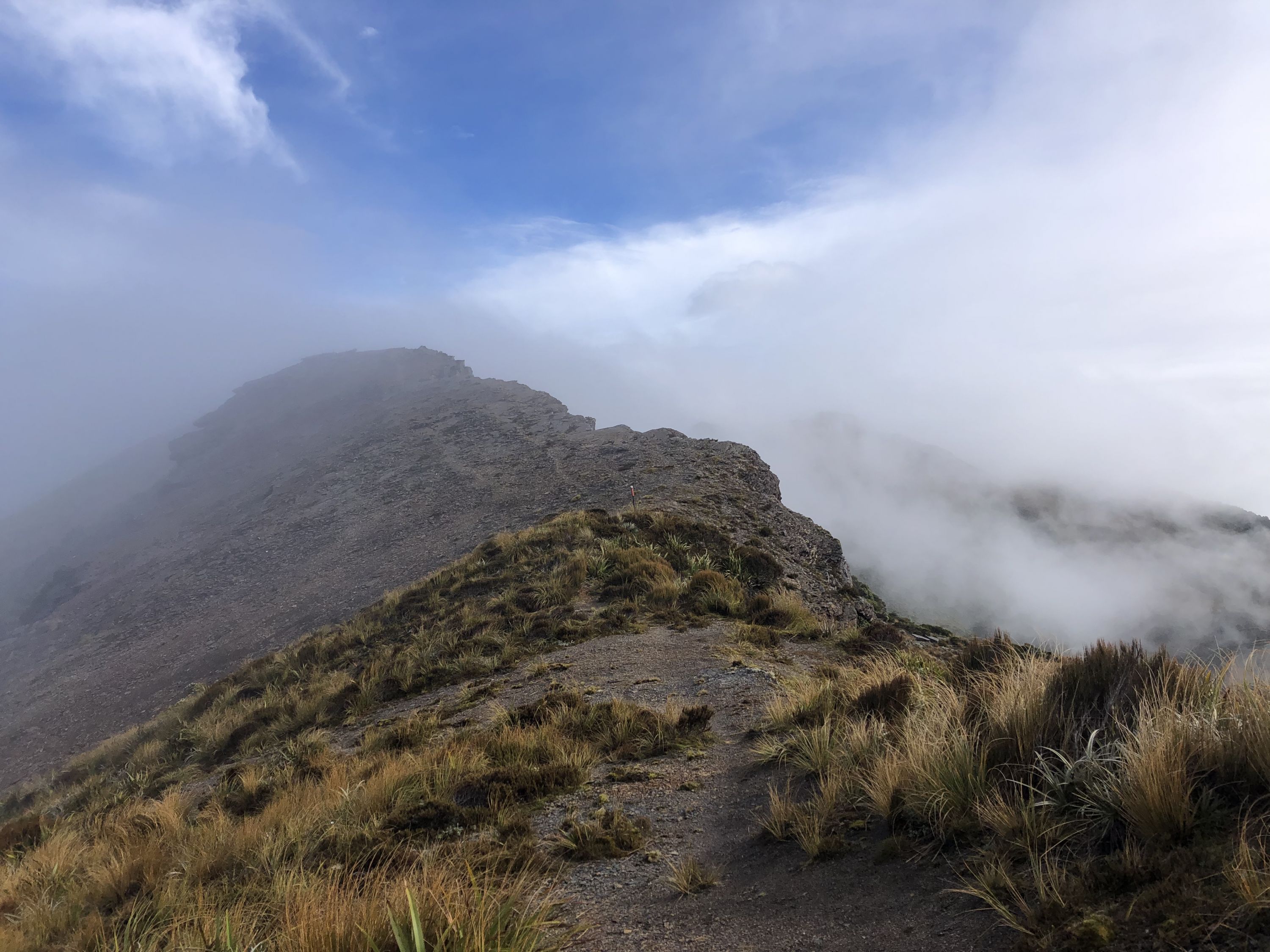 Mt Watson Croesus Loop, West Coast - Trails Photo Gallery - Wild Things