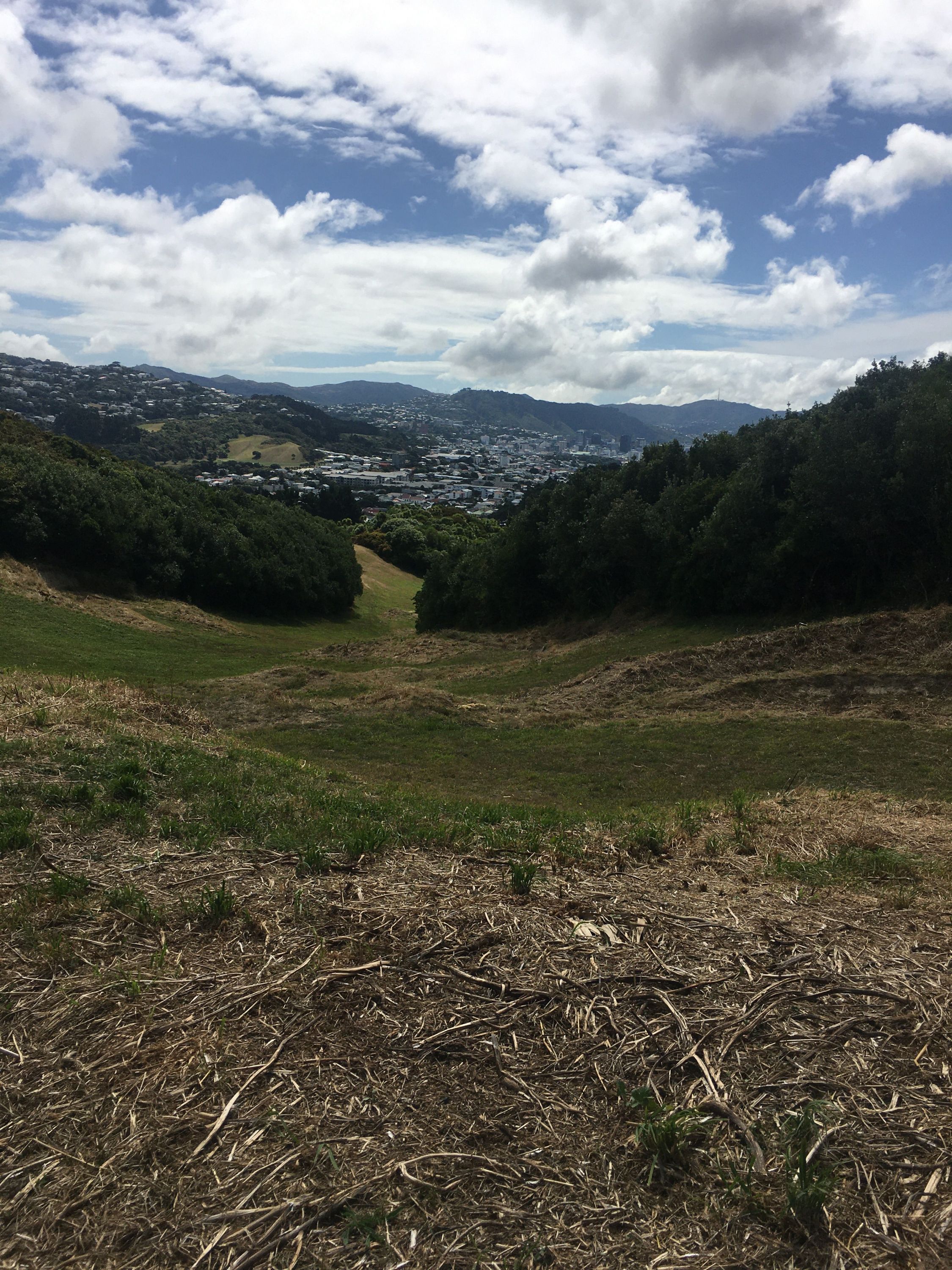 Southern Walkway, Wellington - Trails Photo Gallery - Wild Things