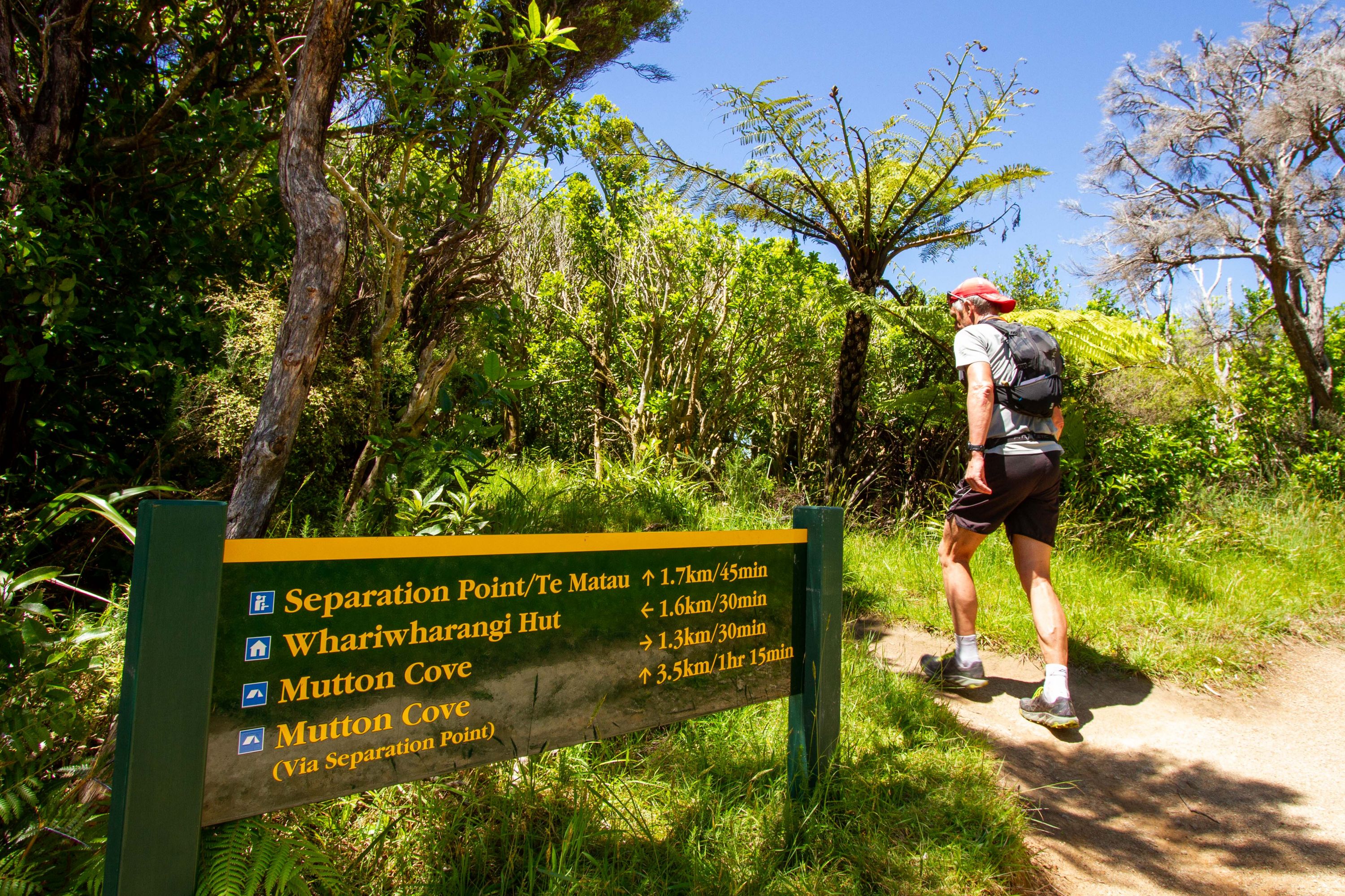 Separation Point Loop, Tasman - Trails Photo Gallery - Wild Things