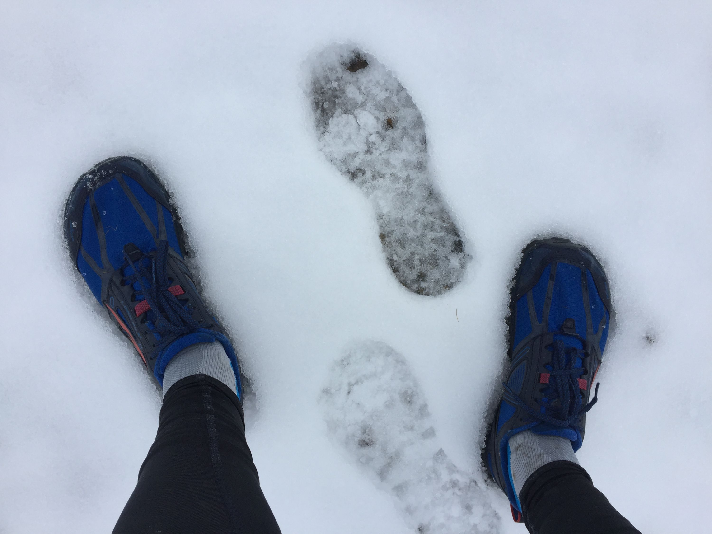 Mt Nimrod Easement Track, Canterbury - Trails Photo Gallery - Wild Things