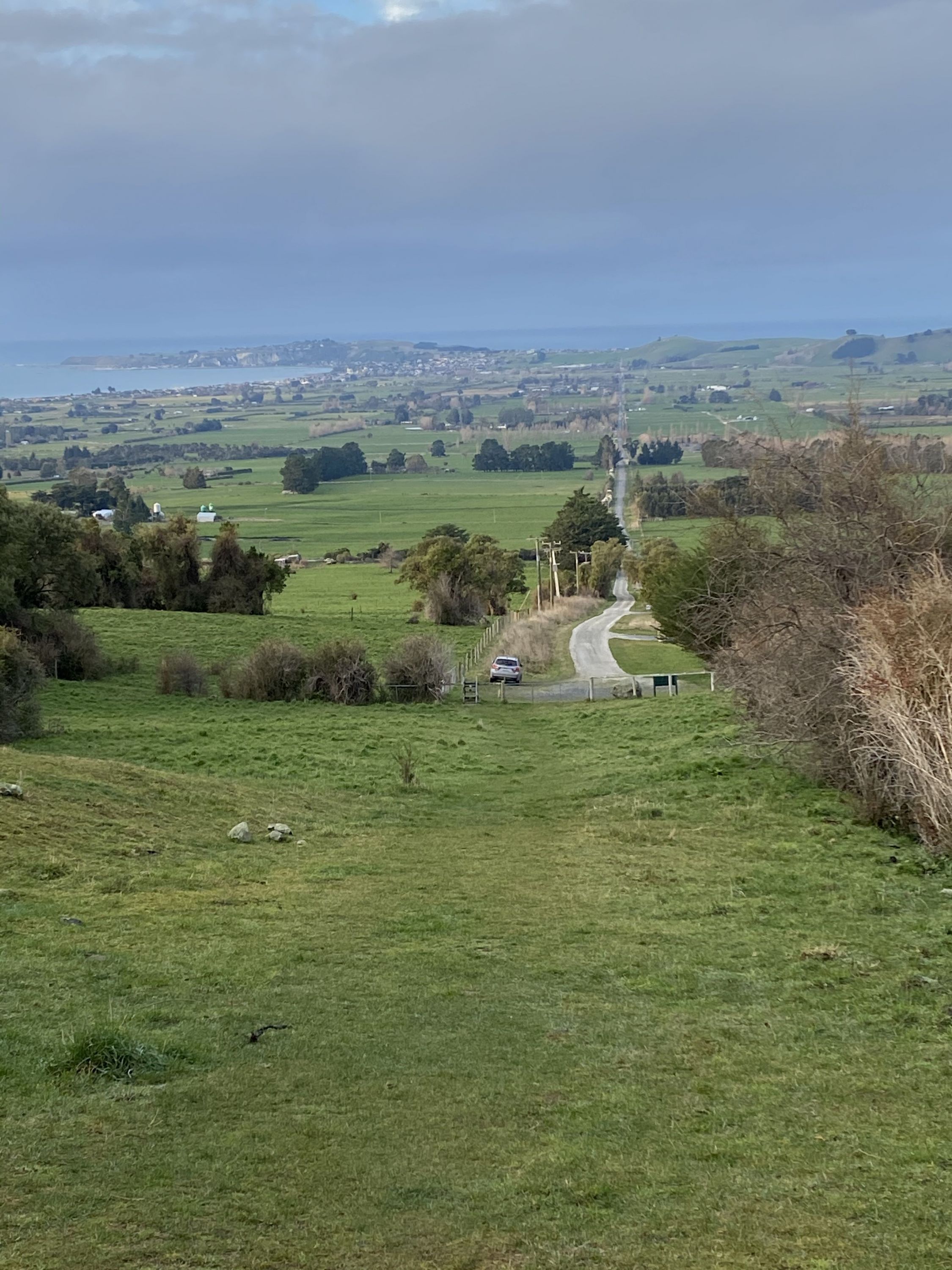 Mt Fyffe Walkway, Canterbury - Trails Photo Gallery - Wild Things