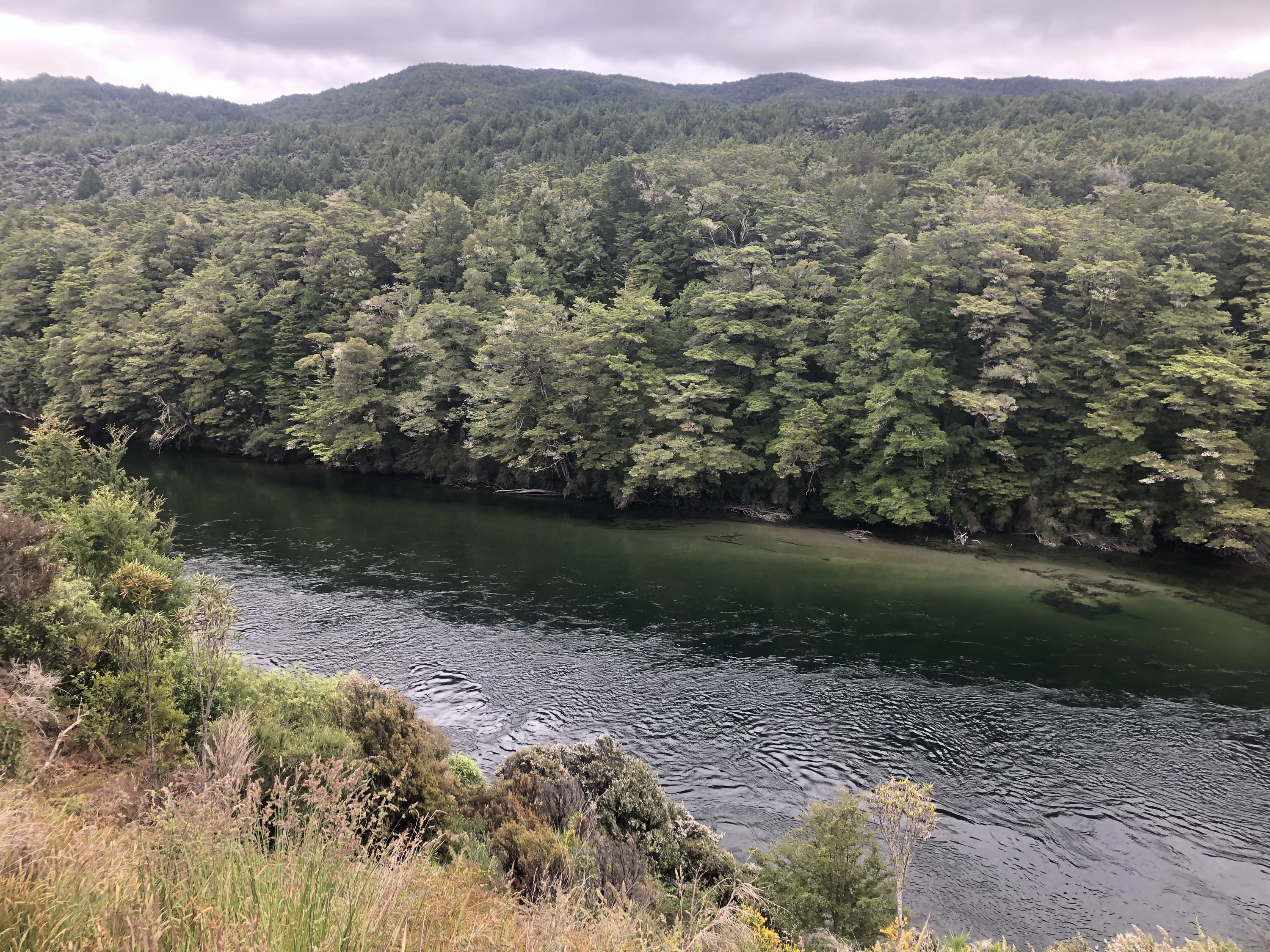 Waiau River Loop, Southland - Trails Photo Gallery - Wild Things