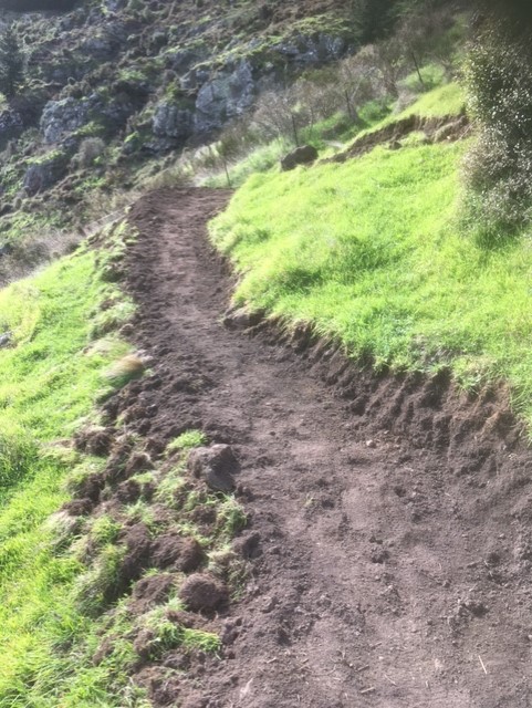 Morgans Baa Baa Loop, Canterbury - Trails Photo Gallery - Wild Things