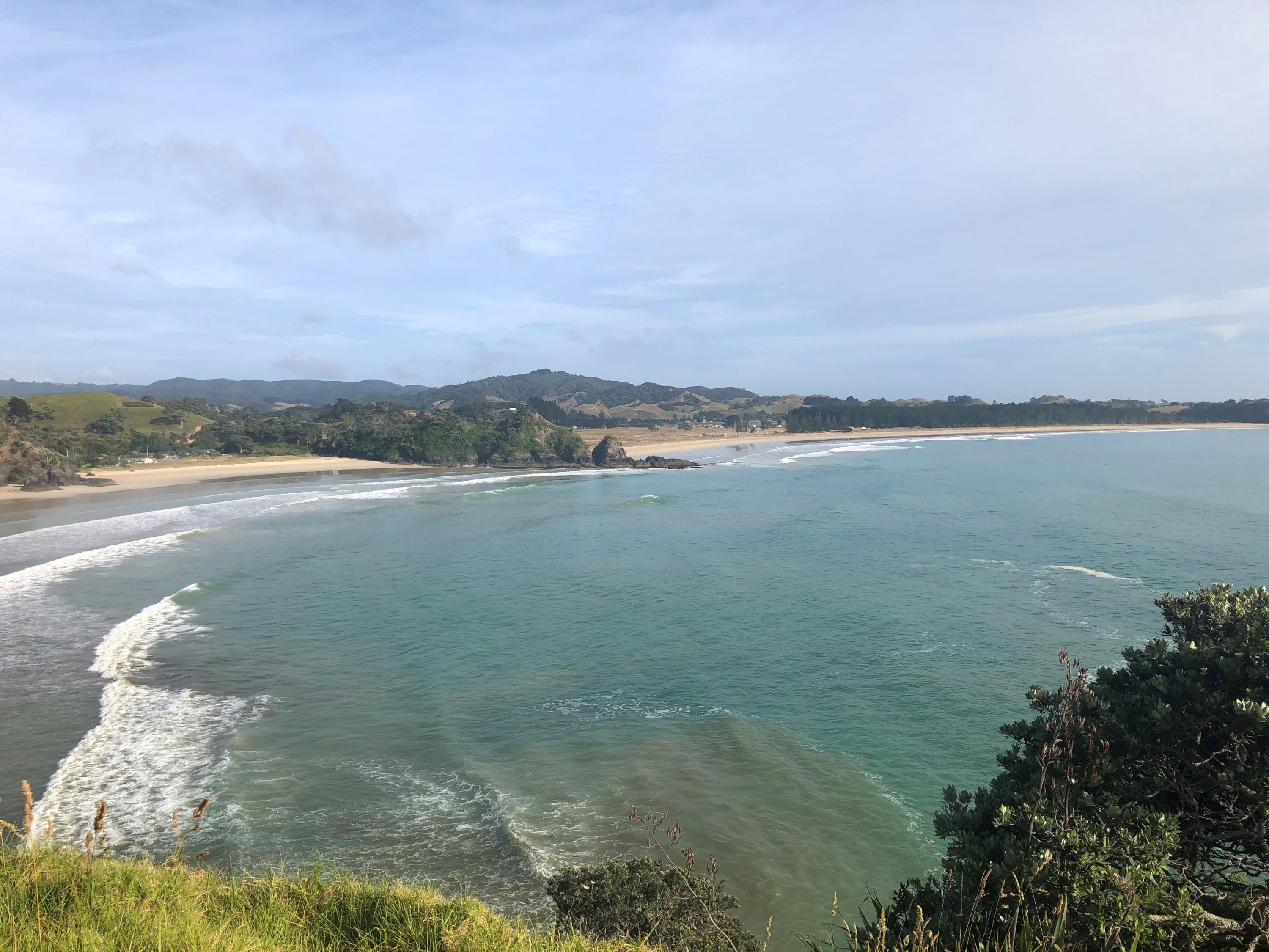 Whananaki Coastal Track, Northland - Trails Photo Gallery - Wild Things