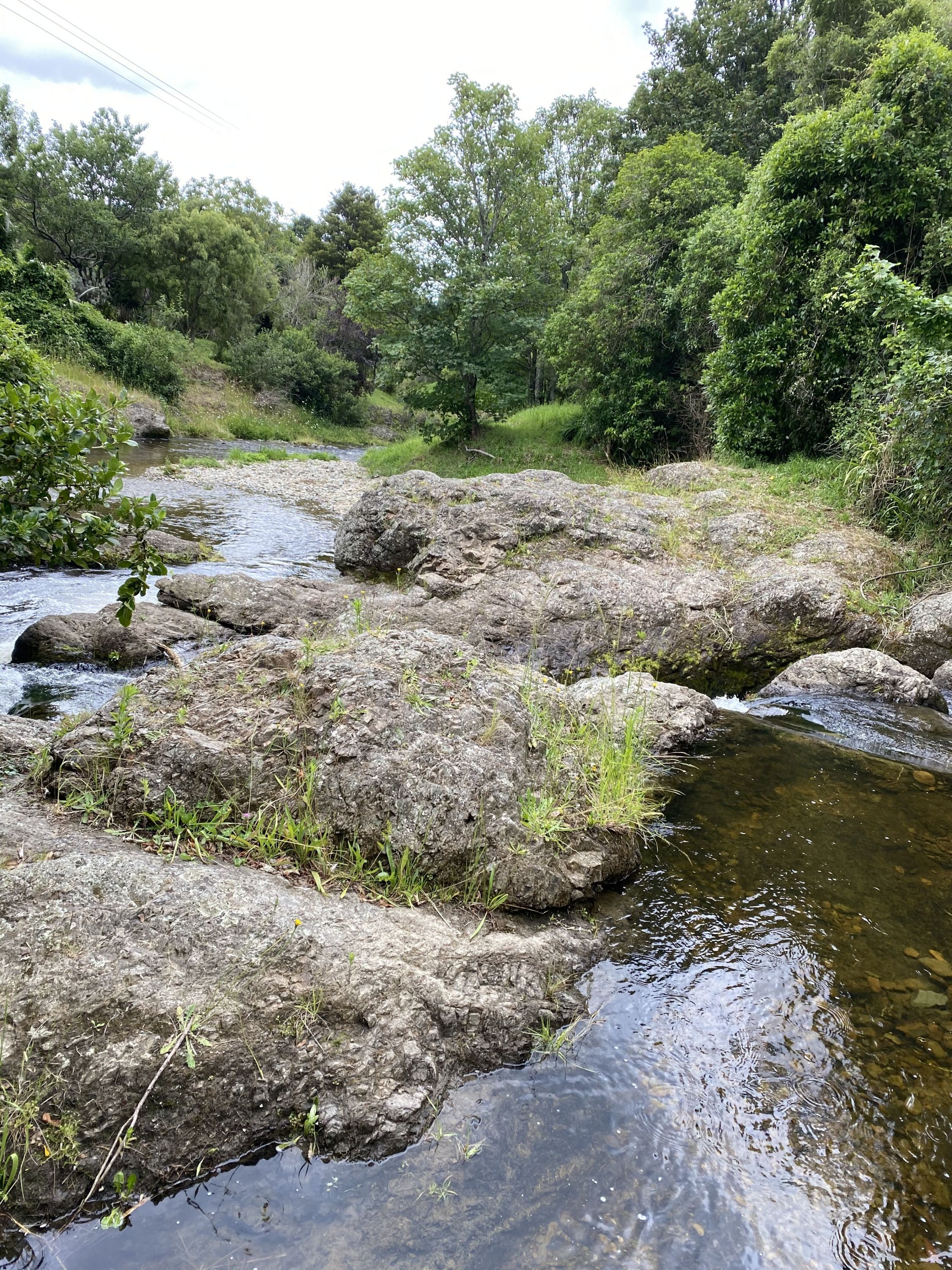 Wairau Lagoons Loop v2, Marlborough - Trails Photo Gallery - Wild Things