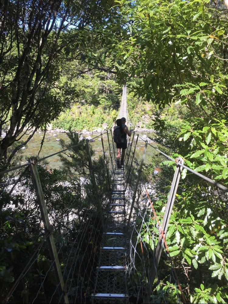 Holdsworth Lodge to Totara Flats Hut and return, Wellington - Trails ...