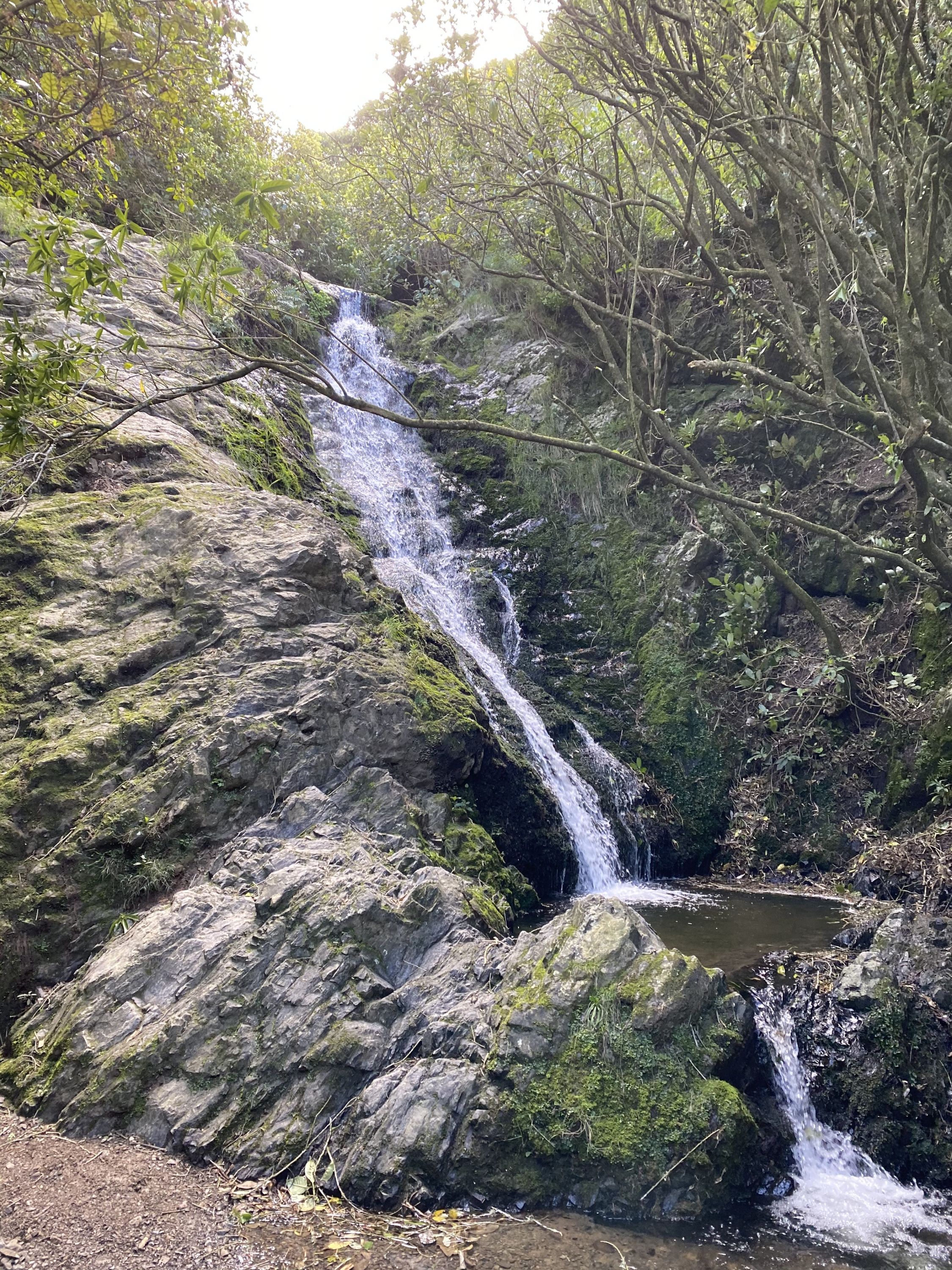 Seton Nossiter Waterfall & Lookout, Wellington - Trails Photo Gallery ...
