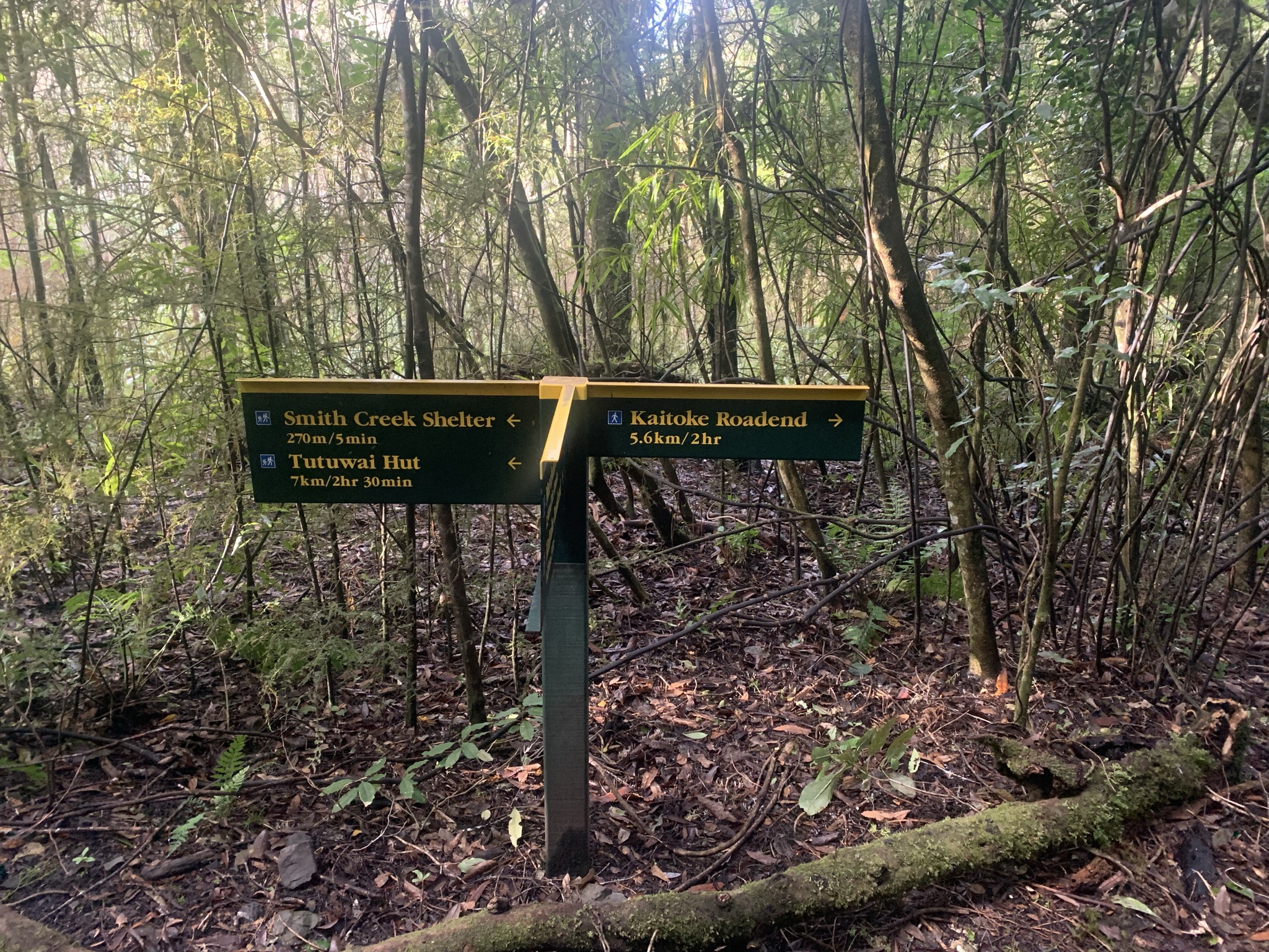 Dobson Loop, Wellington - Trails Photo Gallery - Wild Things