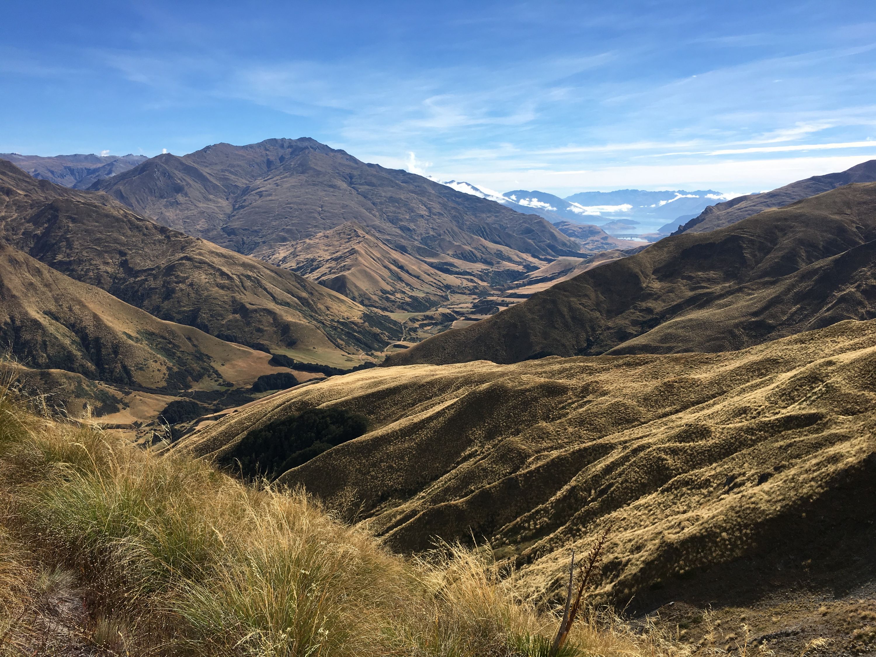 Motatapu Track - Full Monty, Otago - Trails Photo Gallery - Wild Things