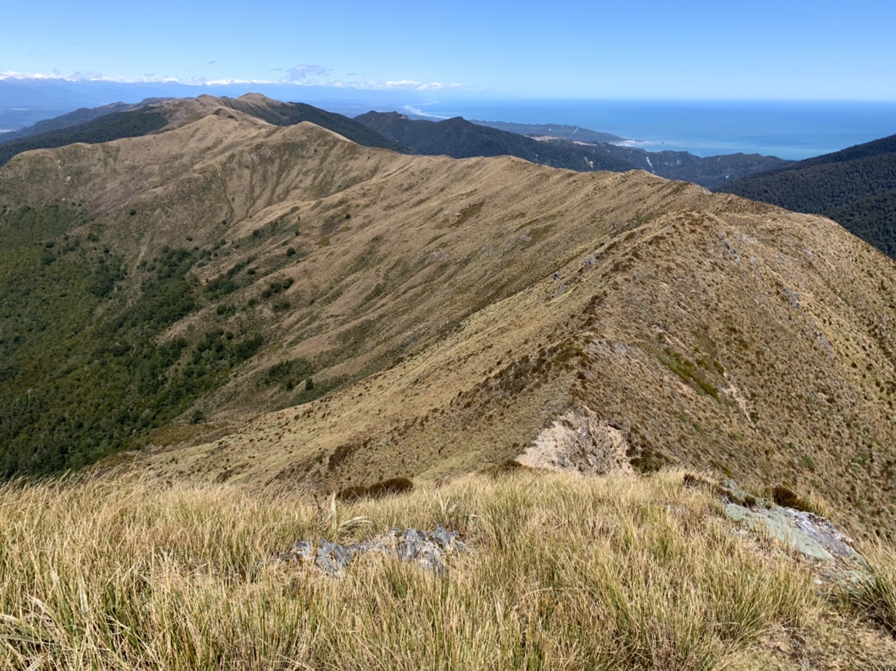 Mt Watson Croesus Loop, West Coast - Trails Photo Gallery - Wild Things