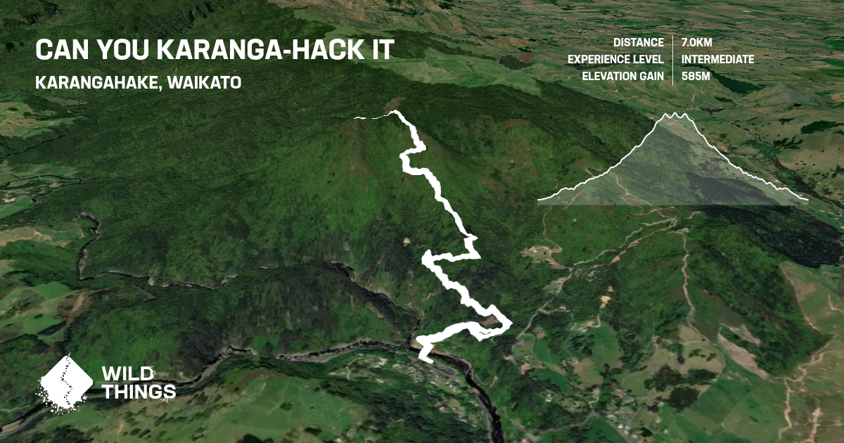 Mount Karangahake Summit Trail Run - Wild Things