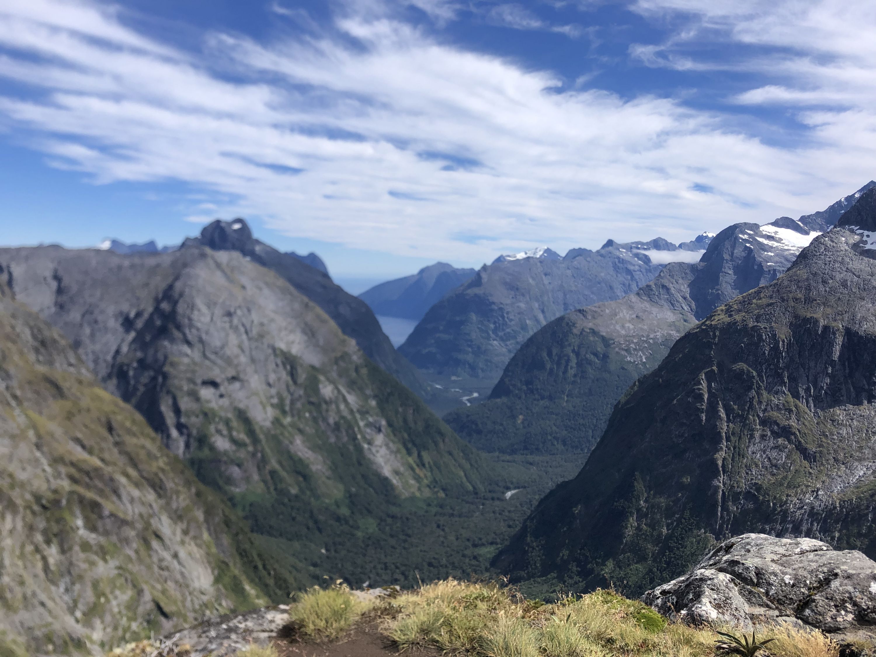 Gobsmacking Gertrude, Southland - Trails Photo Gallery - Wild Things