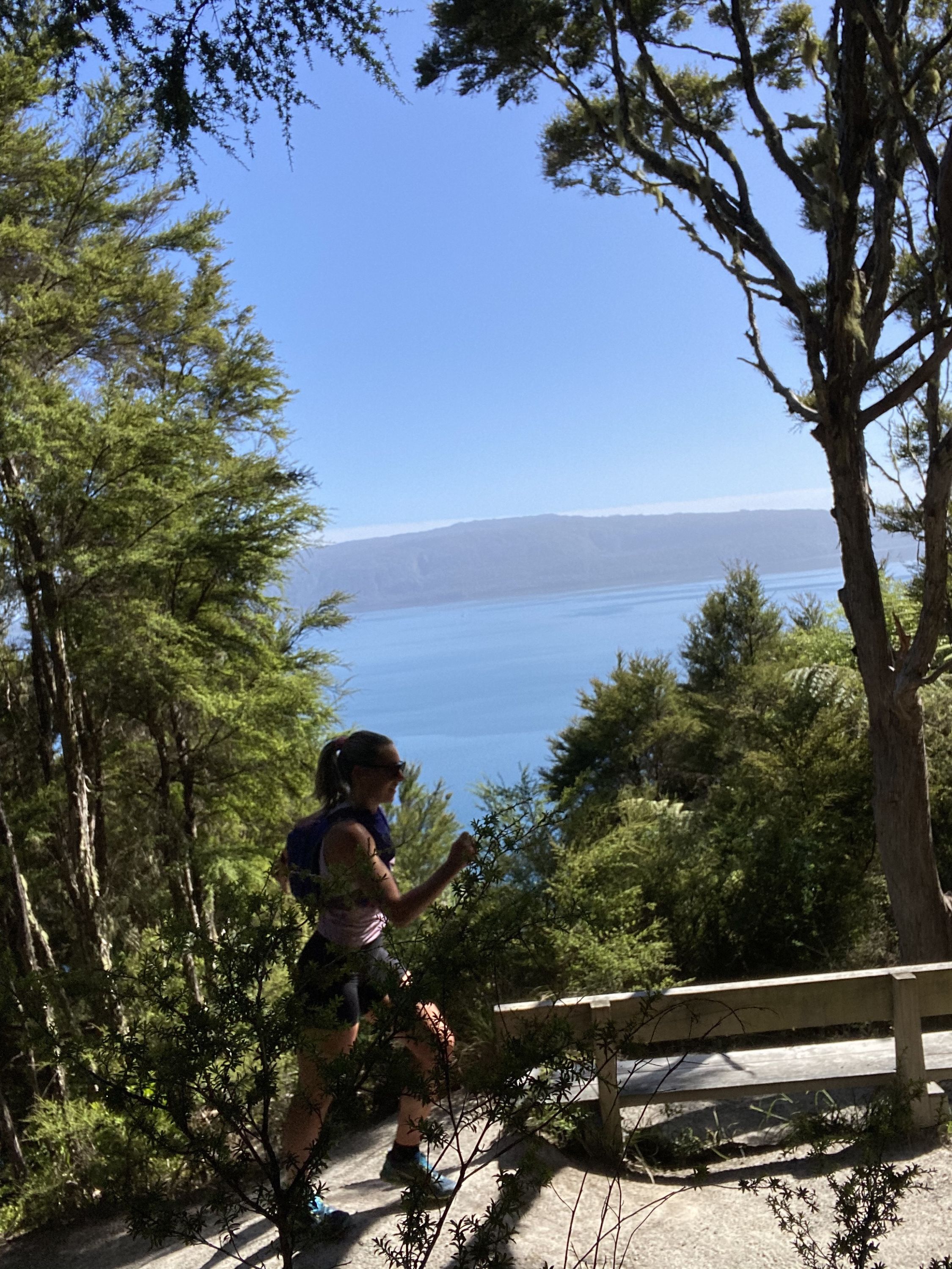 Tarawera Trail Route Recce, Bay of Plenty - Trails Photo Gallery - Wild ...