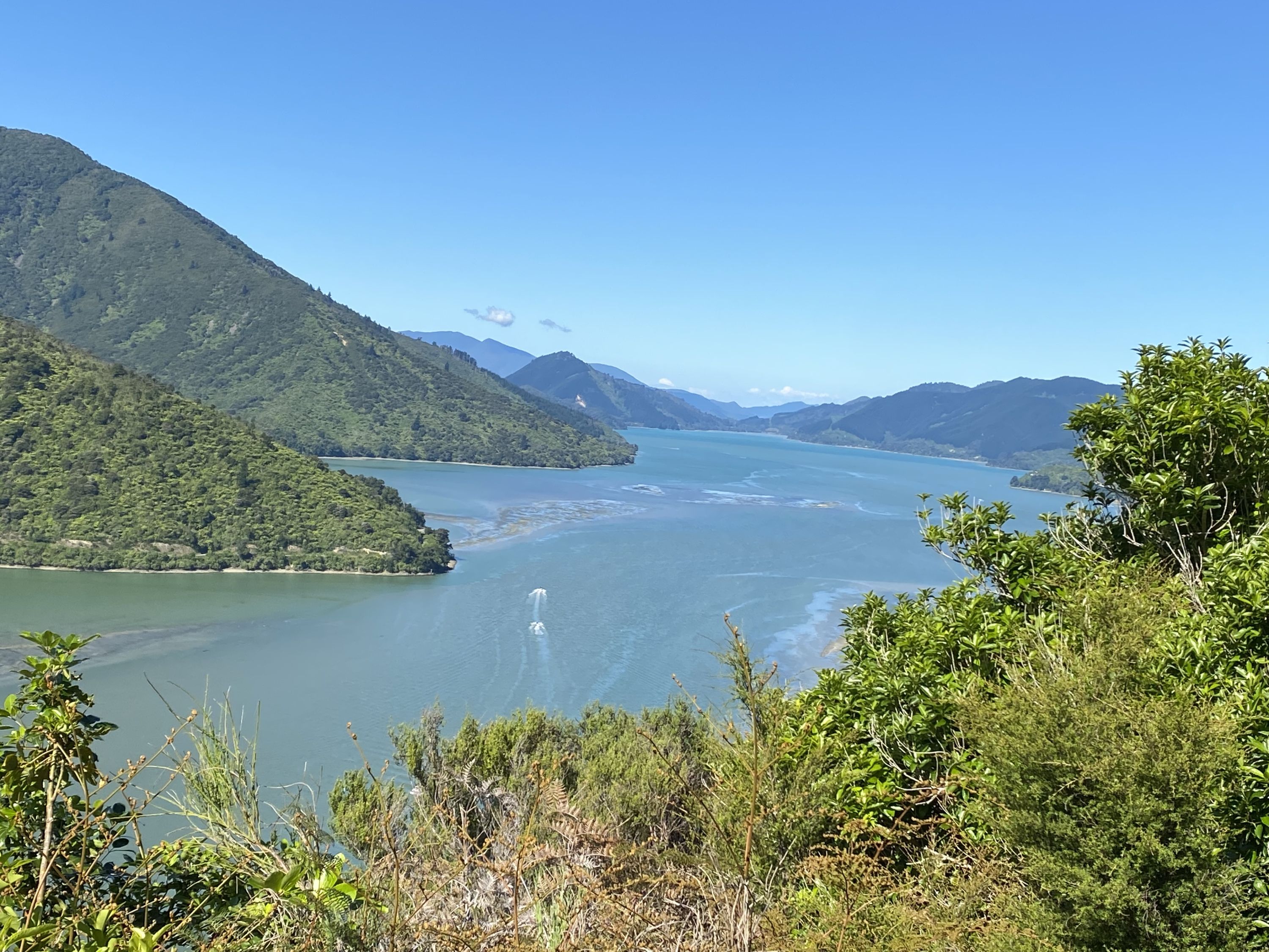Cullen Point , Marlborough - Trails Photo Gallery - Wild Things