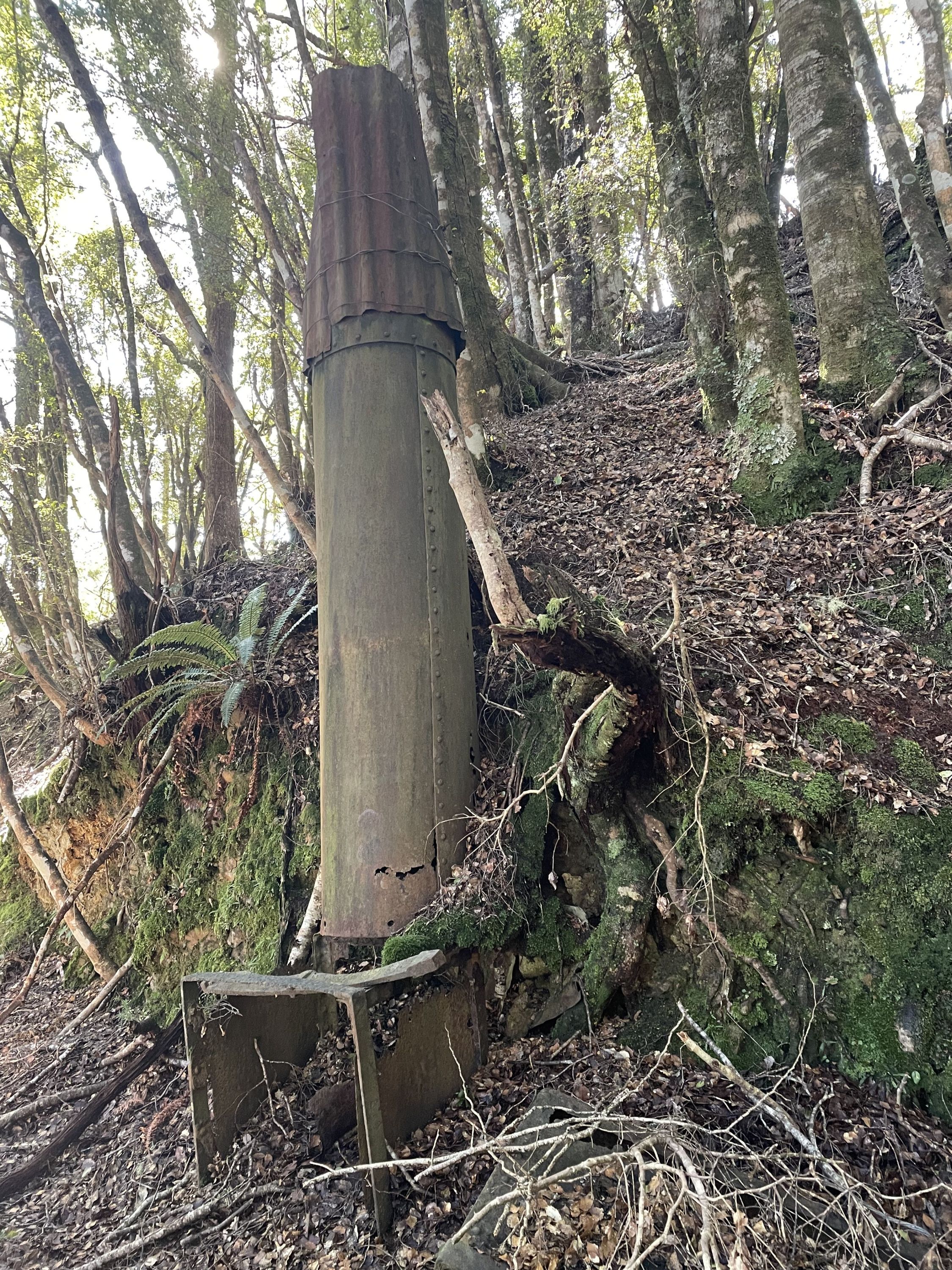 Murray Creek / Konini Track Loop, West Coast - Trails Photo Gallery ...