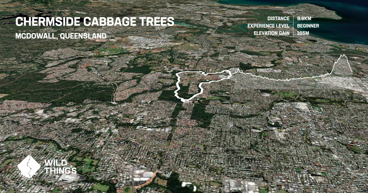 Chermside Cabbage Trees, Queensland, Australia - Trail Running ...