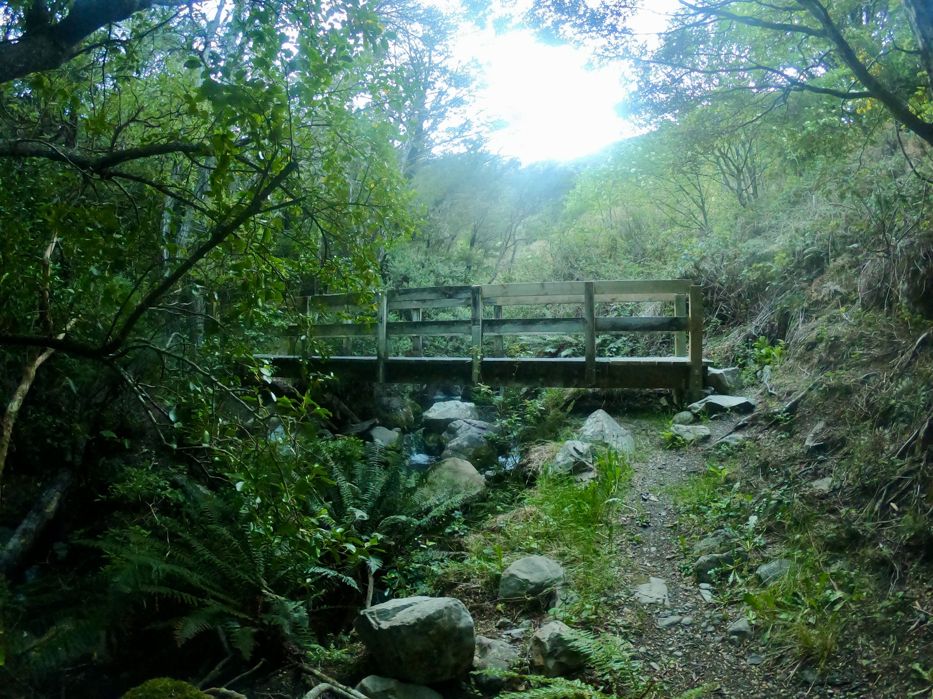 Mt Isobel Long Loop, Canterbury - Trails Photo Gallery - Wild Things