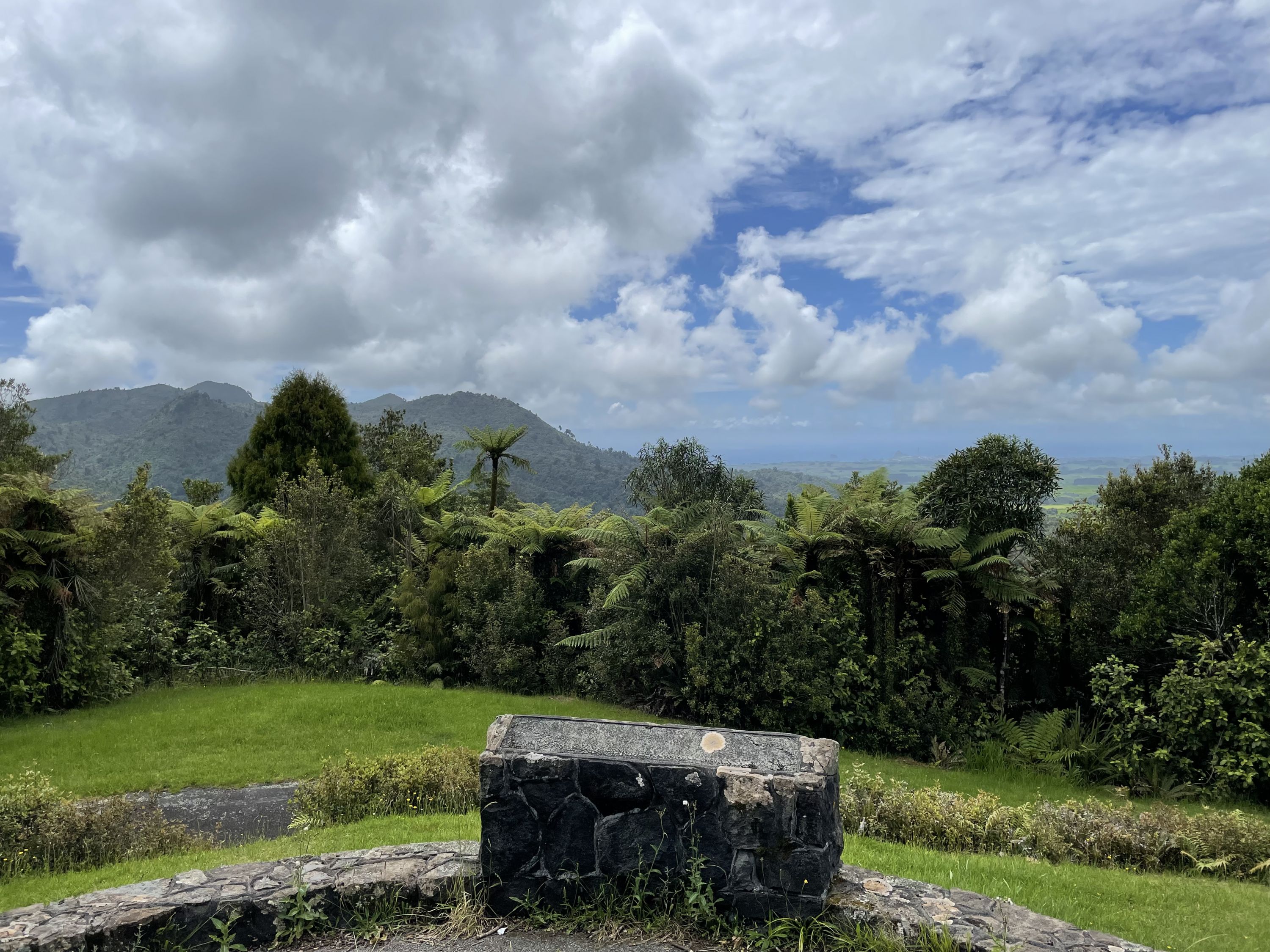 Rain Forest Romp at Pukeiti, Taranaki - Trails Photo Gallery - Wild Things