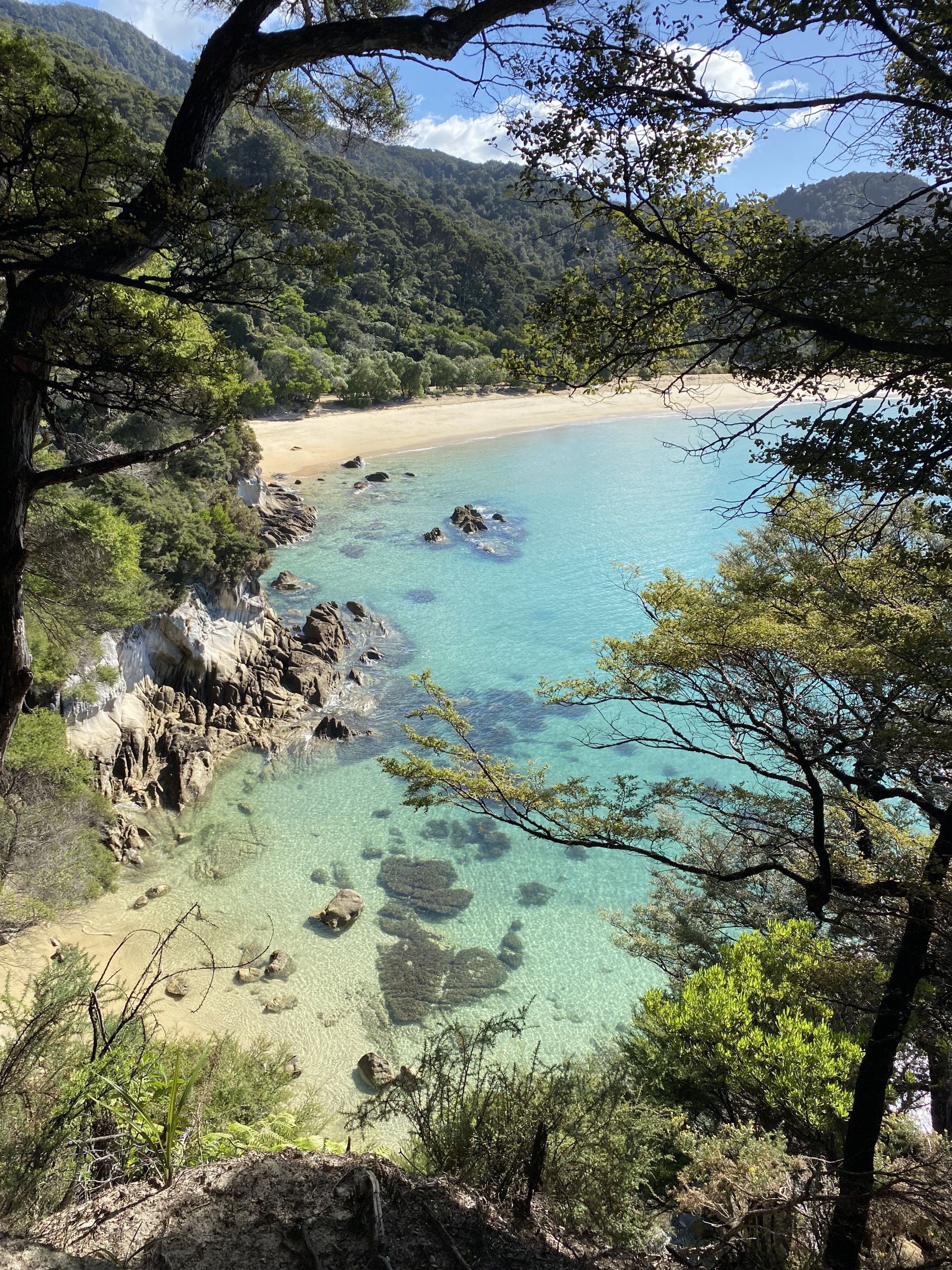 Abel Tasman Marahau to Totaranui, Tasman - Trails Photo Gallery - Wild ...