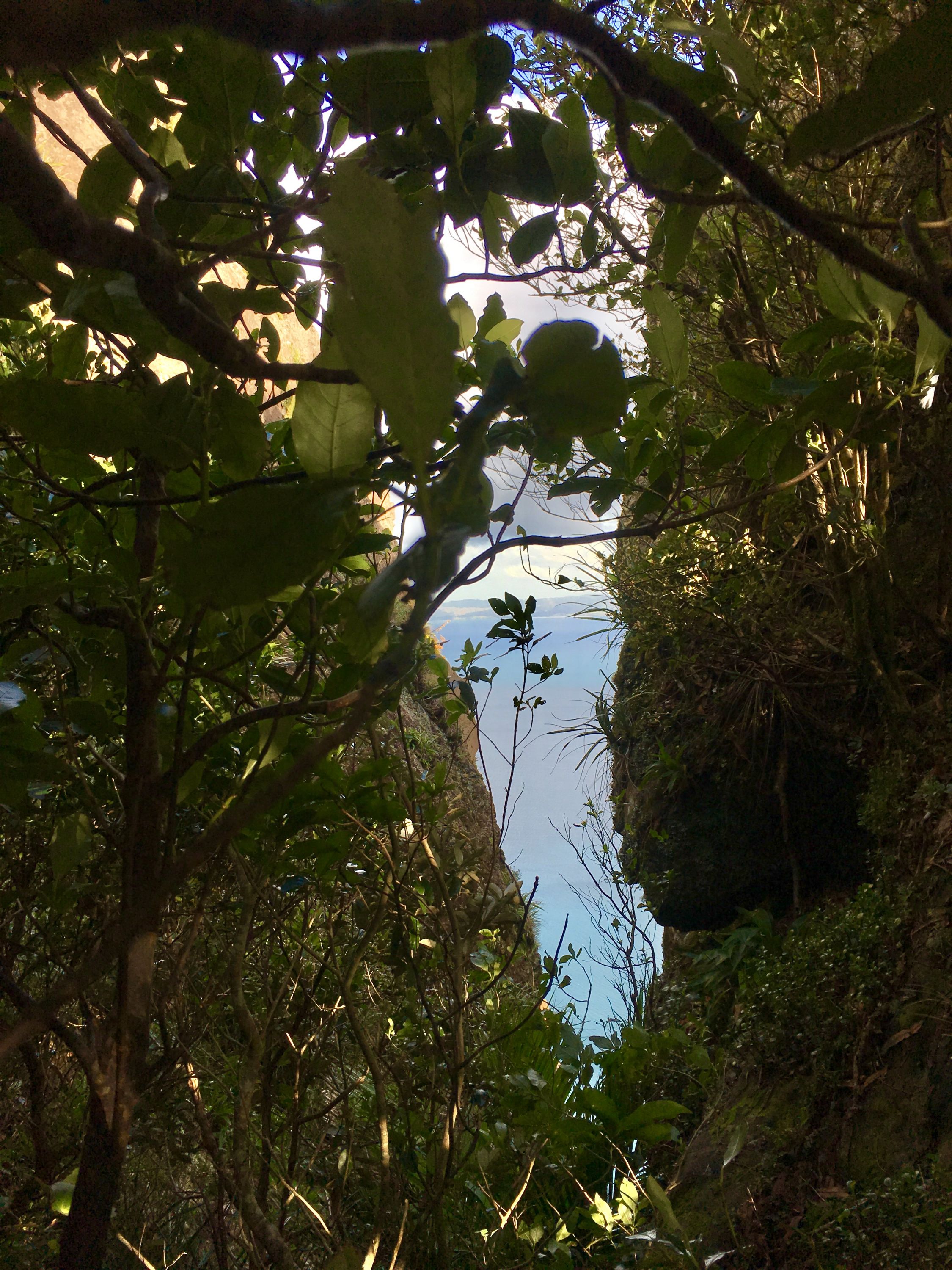 Bream Head Te Whara Trail, Northland - Trails Photo Gallery - Wild Things