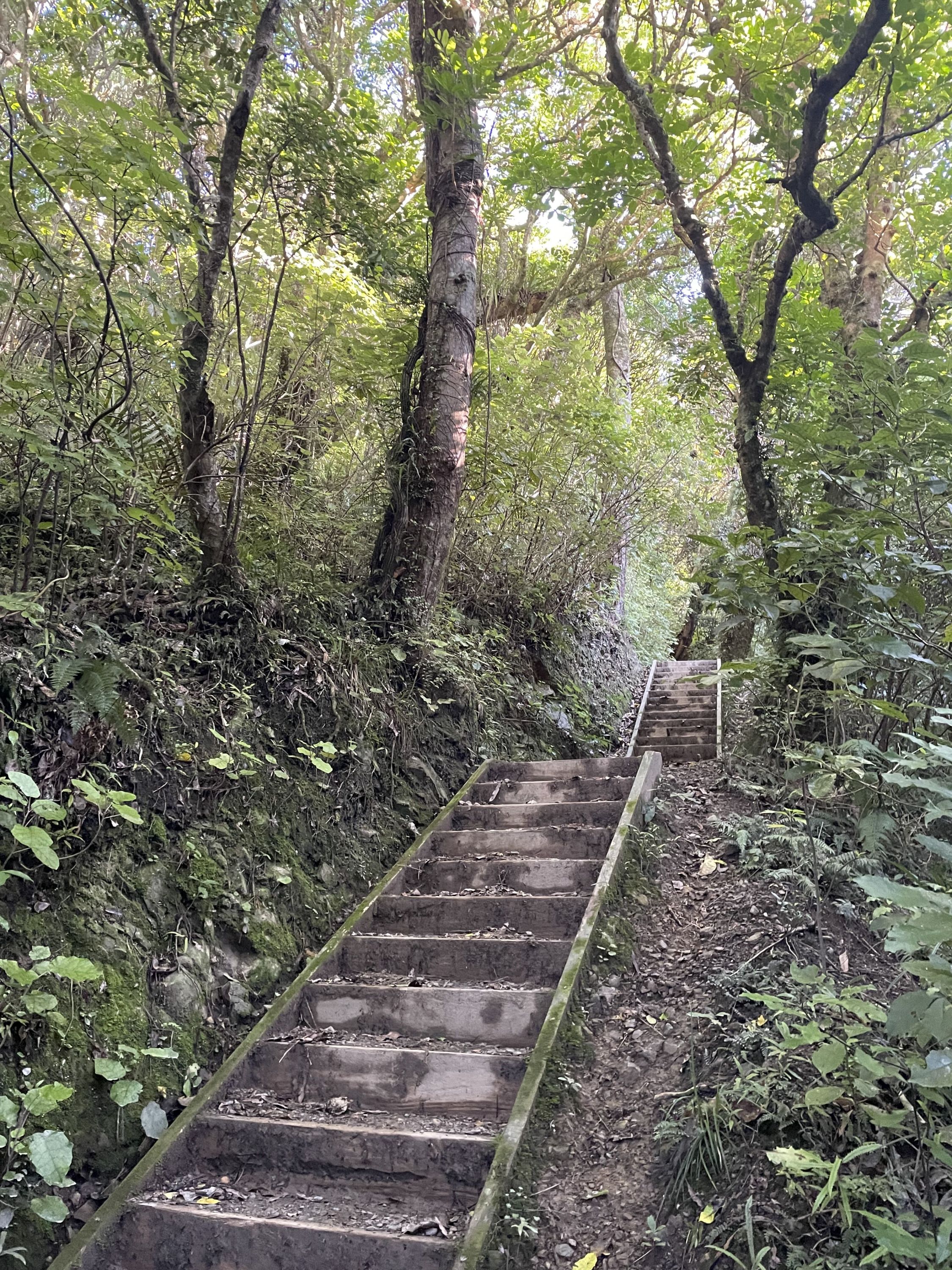 Colonial Knob - All the Hills, Wellington - Trails Photo Gallery - Wild ...