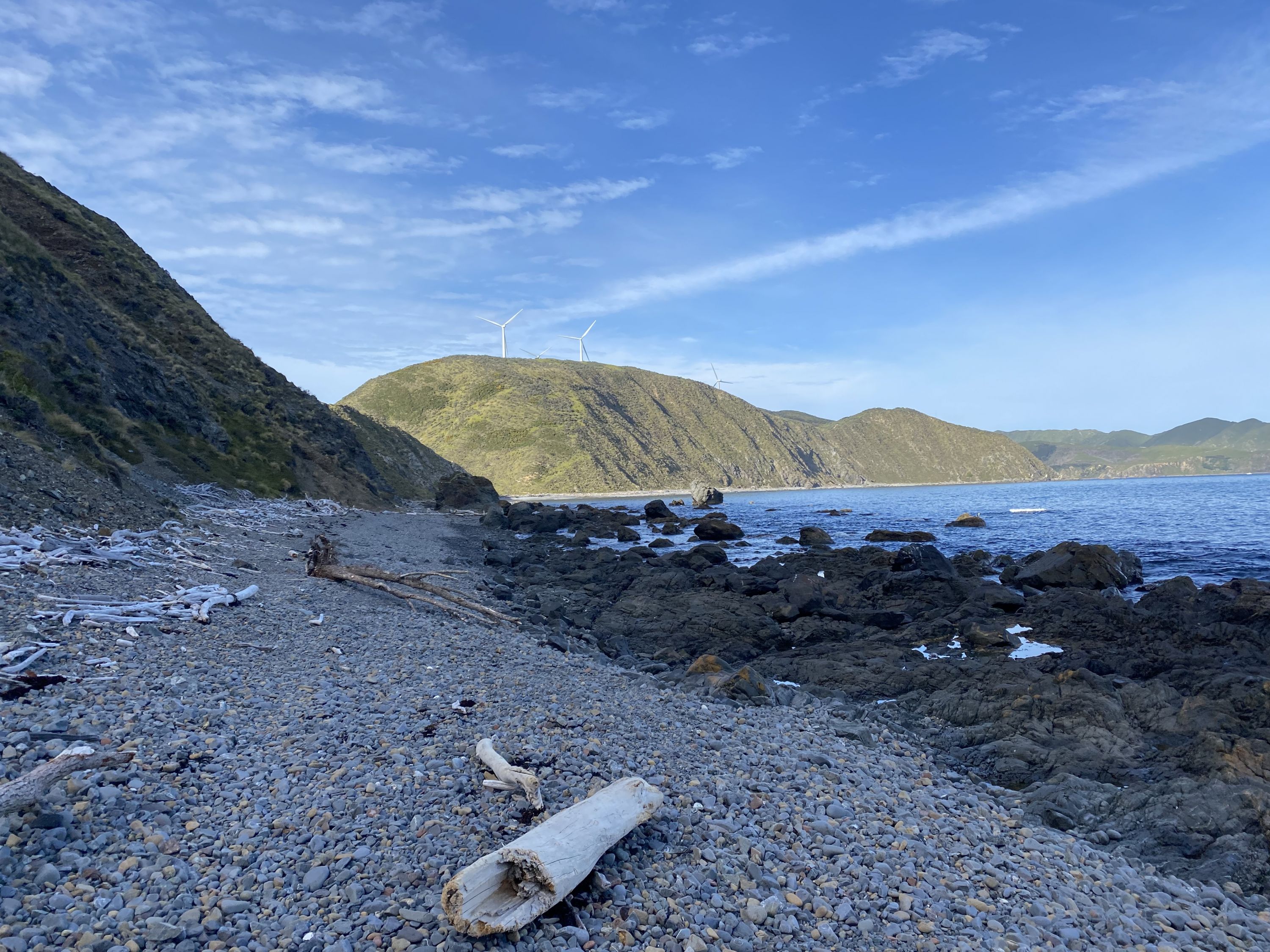 Makara Walkway, Wellington - Trails Photo Gallery - Wild Things