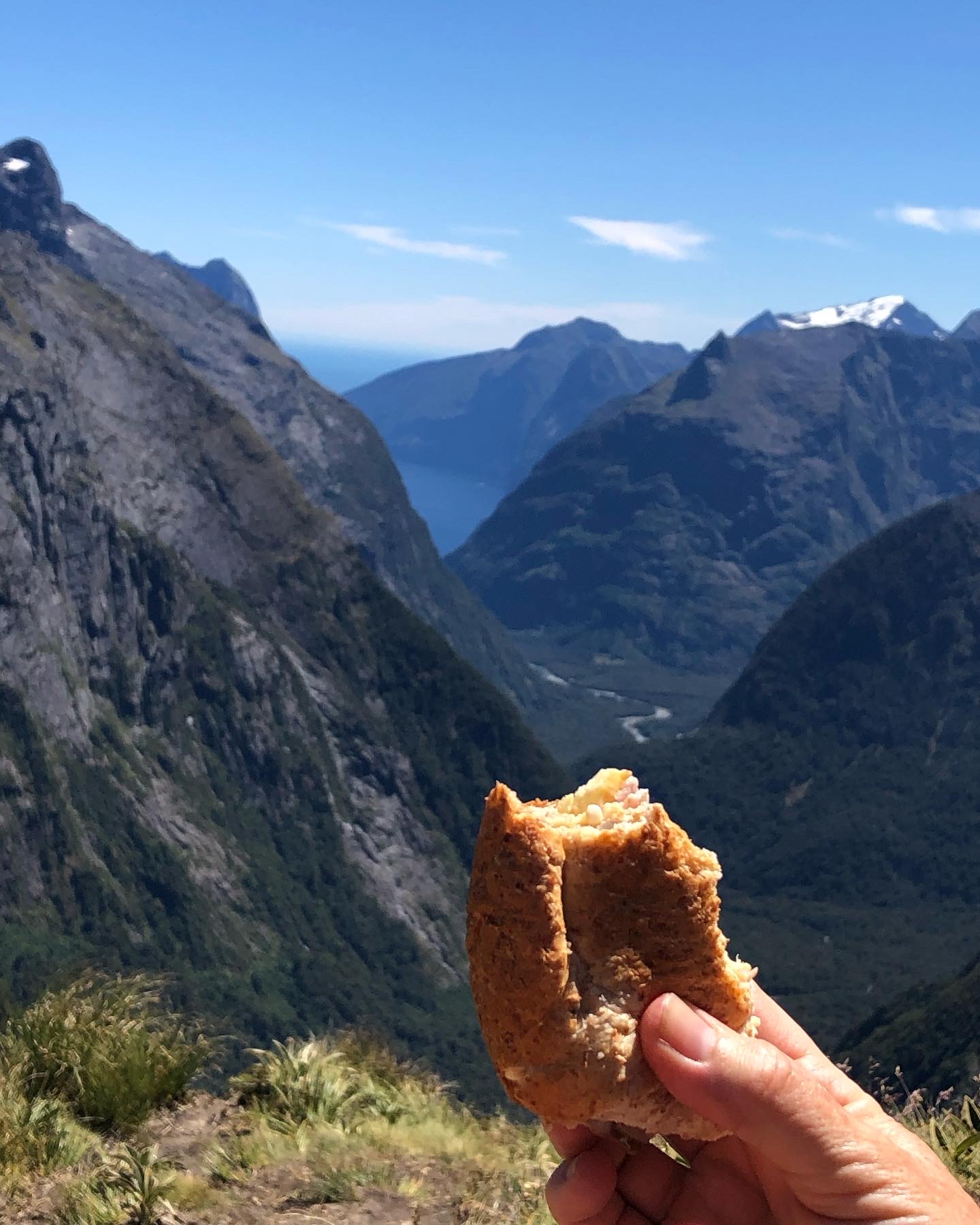 Gobsmacking Gertrude, Southland - Trails Photo Gallery - Wild Things