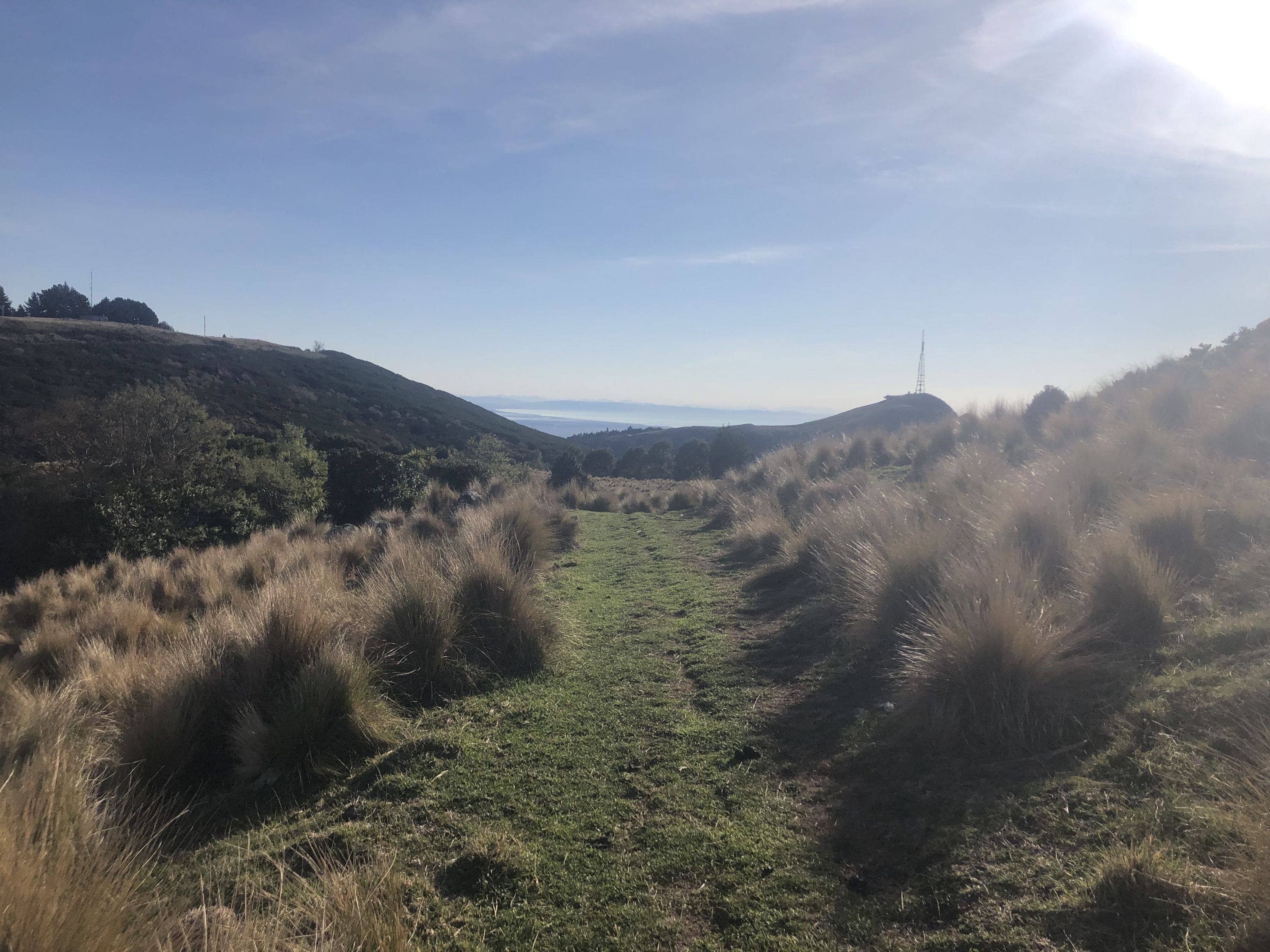 Whigs' Flying Fifty (WFF), Canterbury - Trails Photo Gallery - Wild Things