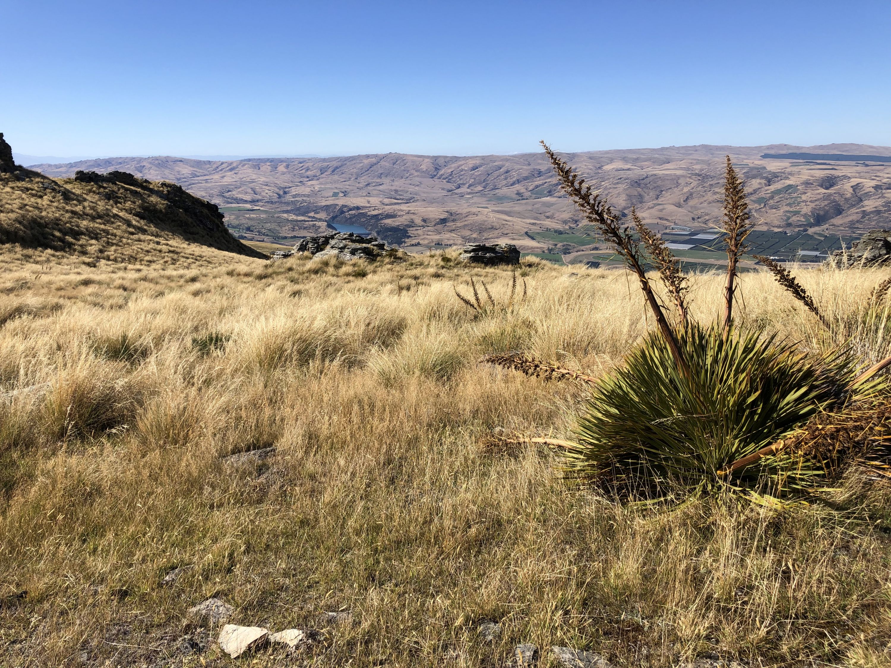 Bullock Track , Otago - Trails Photo Gallery - Wild Things