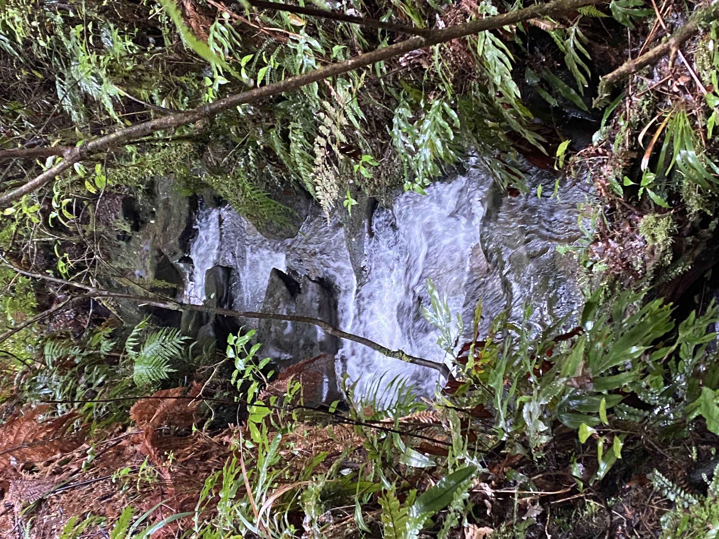 Tupapakurua Falls, Manawatu - Wanganui - Trails Photo Gallery - Wild Things