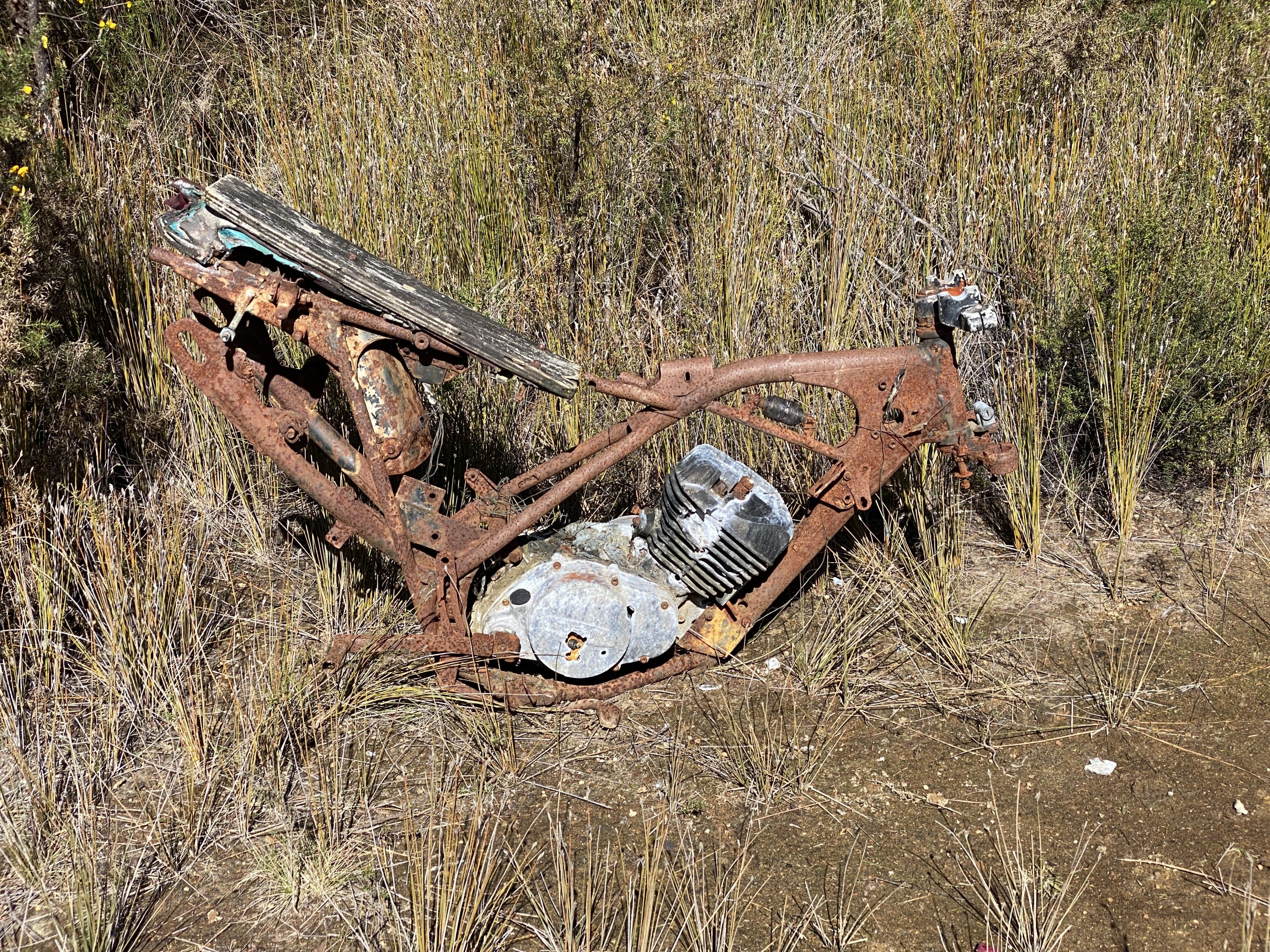 Twice Over The Kamais , Bay of Plenty - Trails Photo Gallery - Wild Things