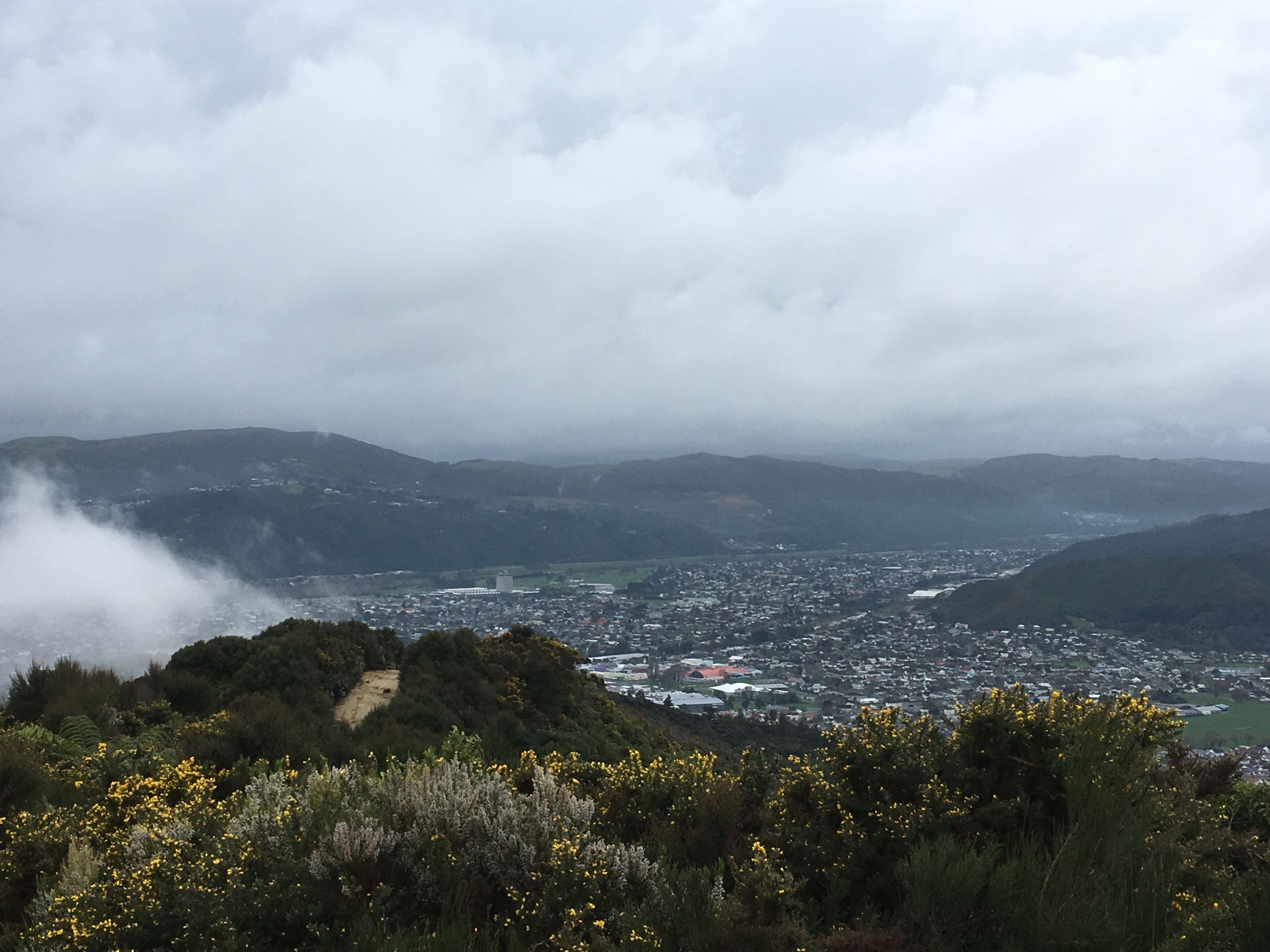Te Whiti Riser, Wellington - Trails Photo Gallery - Wild Things