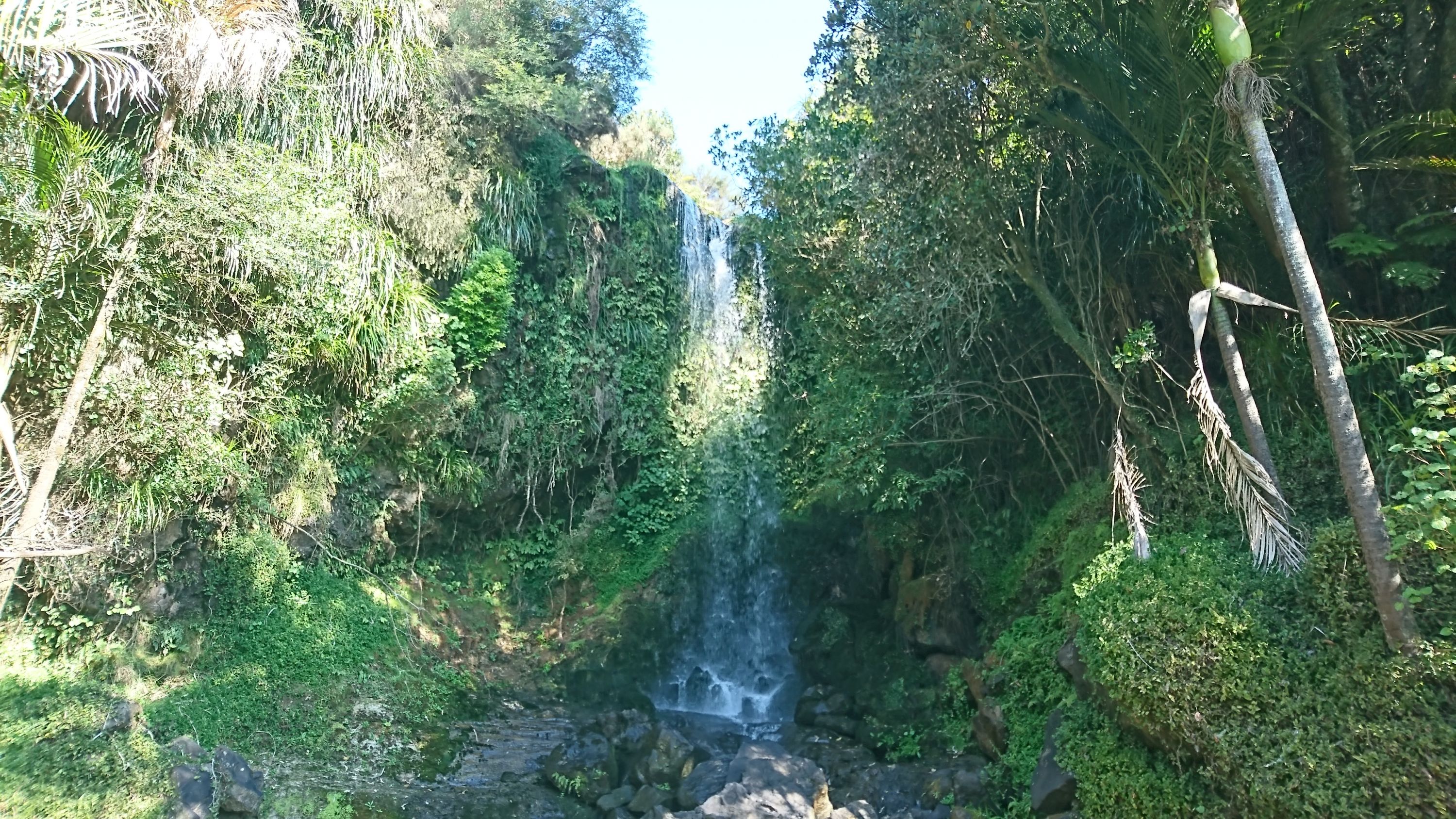 Harker Reserve to Vivian Falls, Waikato - Trails Photo Gallery - Wild ...