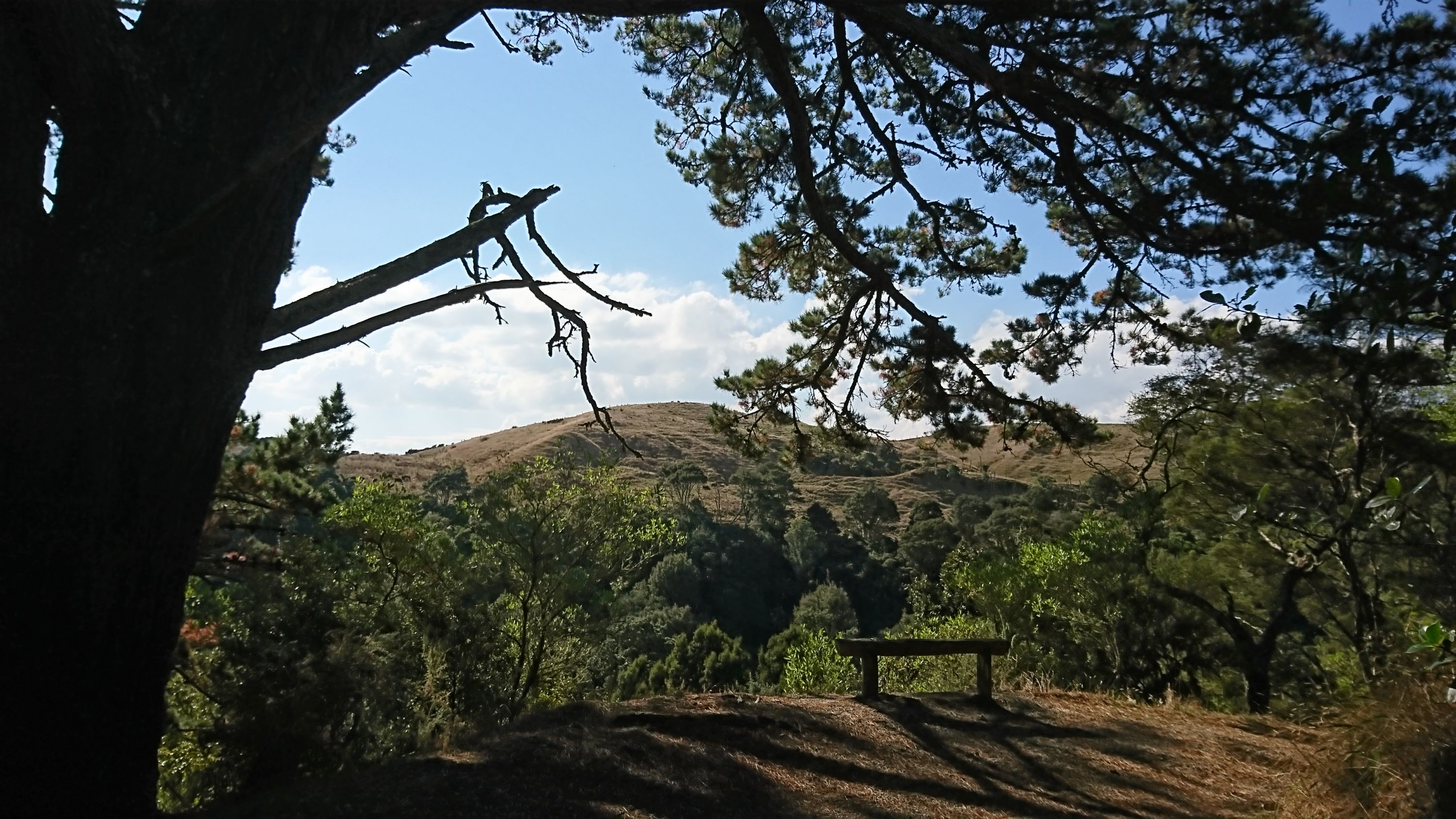 Harker Reserve to Vivian Falls, Waikato - Trails Photo Gallery - Wild ...